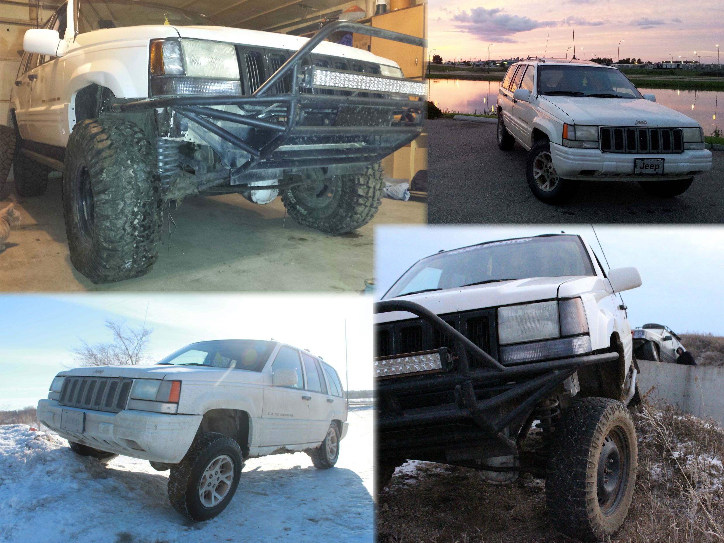 Meet Ted (Details in comments) | Scrolller