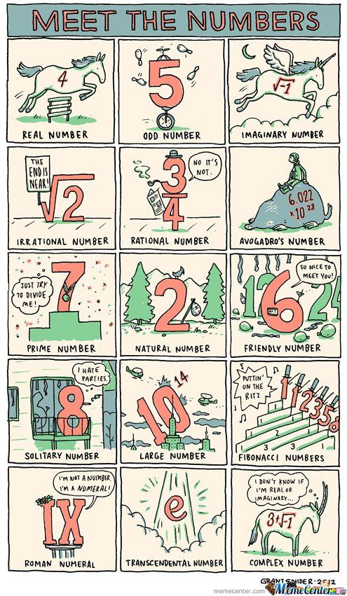 Meet the Numbers | Scrolller