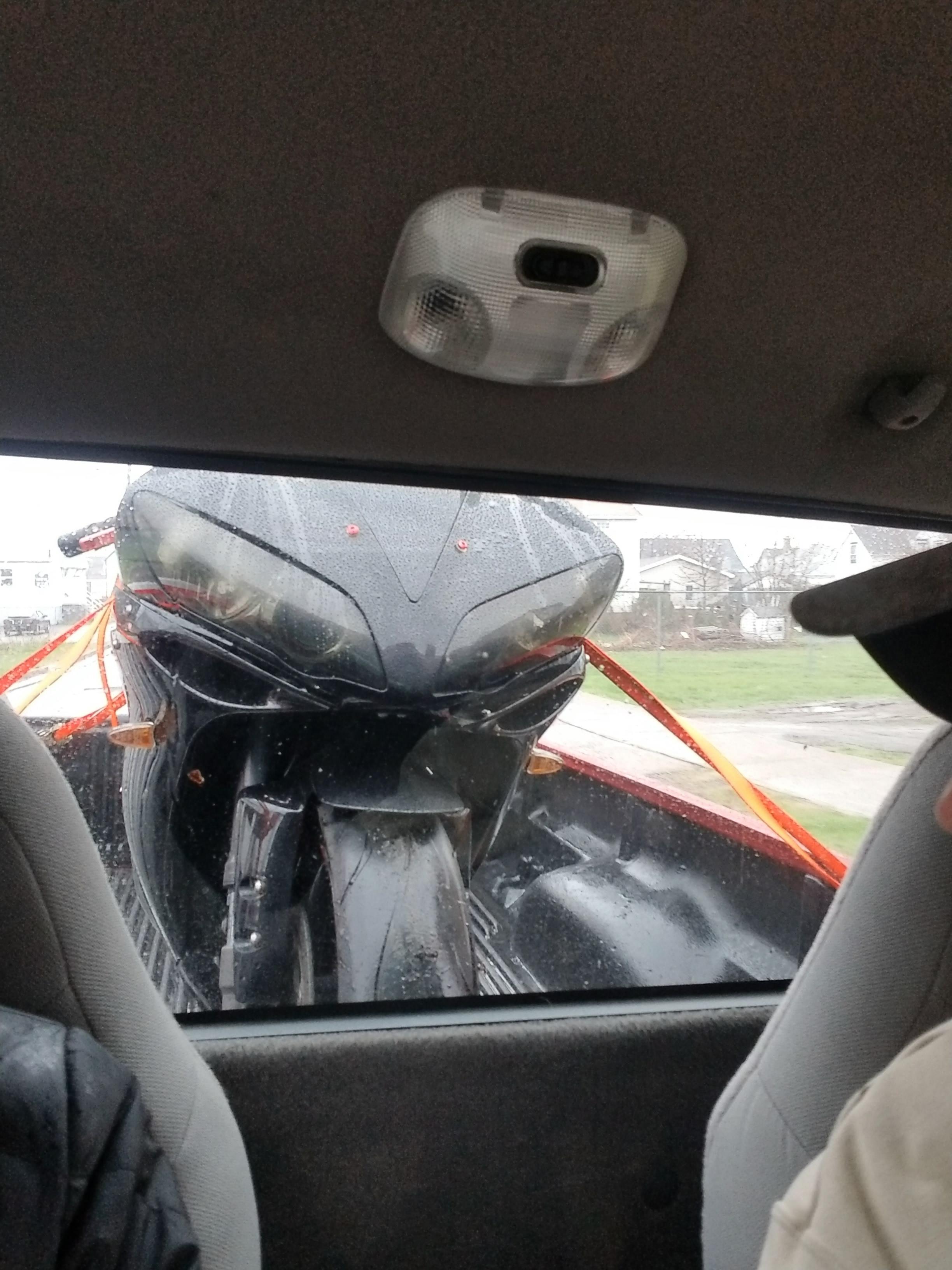 Meet Toothless, a happy R1 | Scrolller