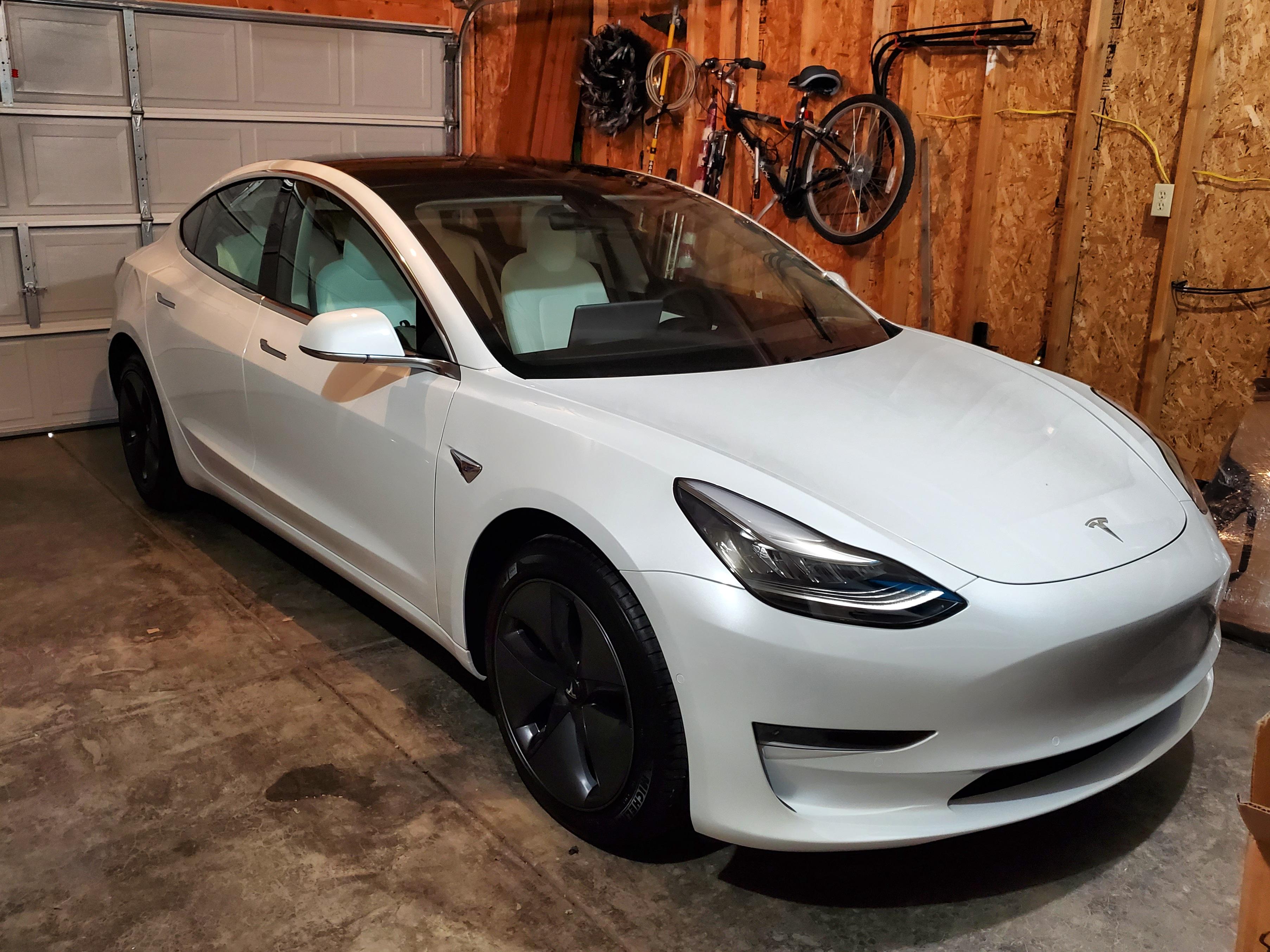 Meet Valkyrie | Scrolller