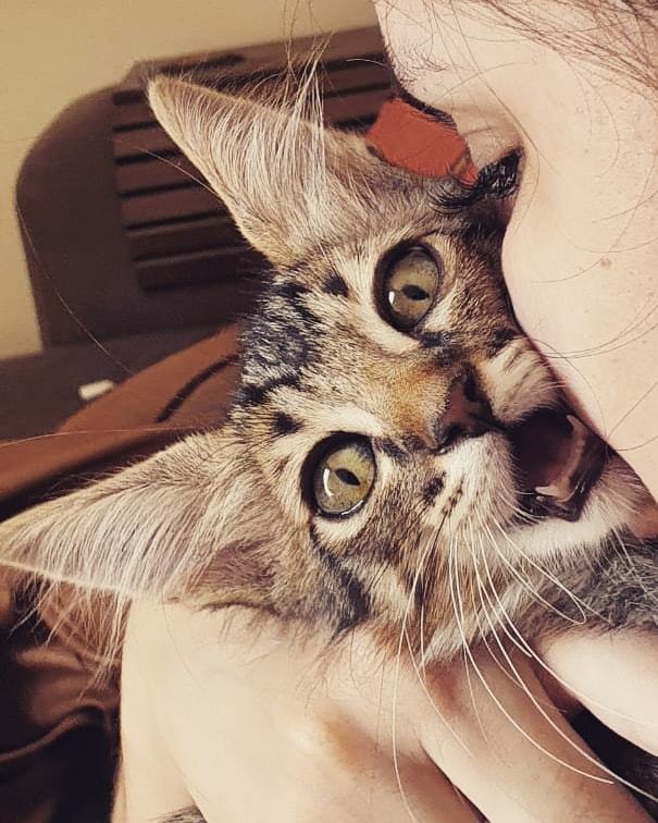 Meet Zuko, he loves kisses hehehe | Scrolller