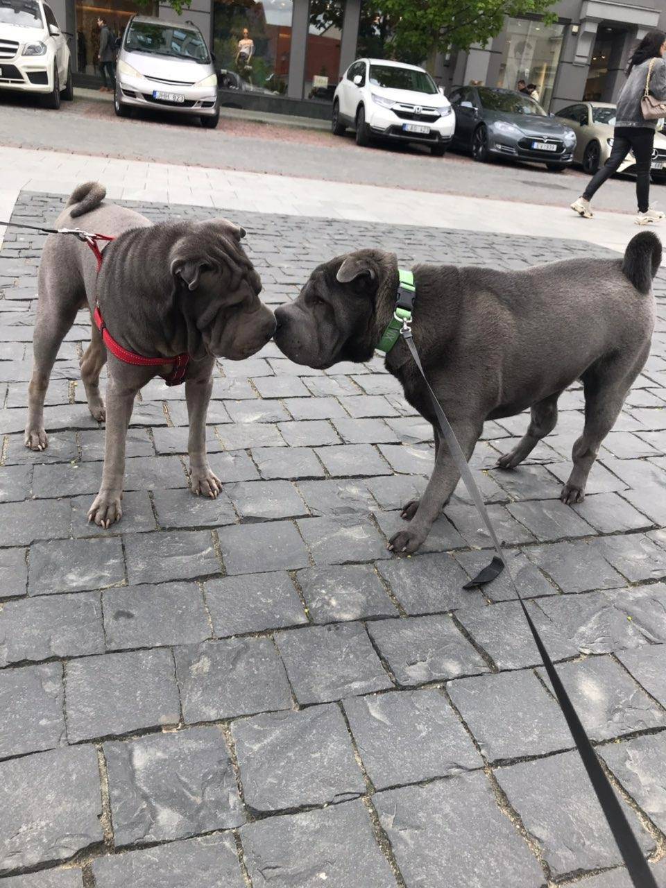 Meeting her Doppelganger | Scrolller