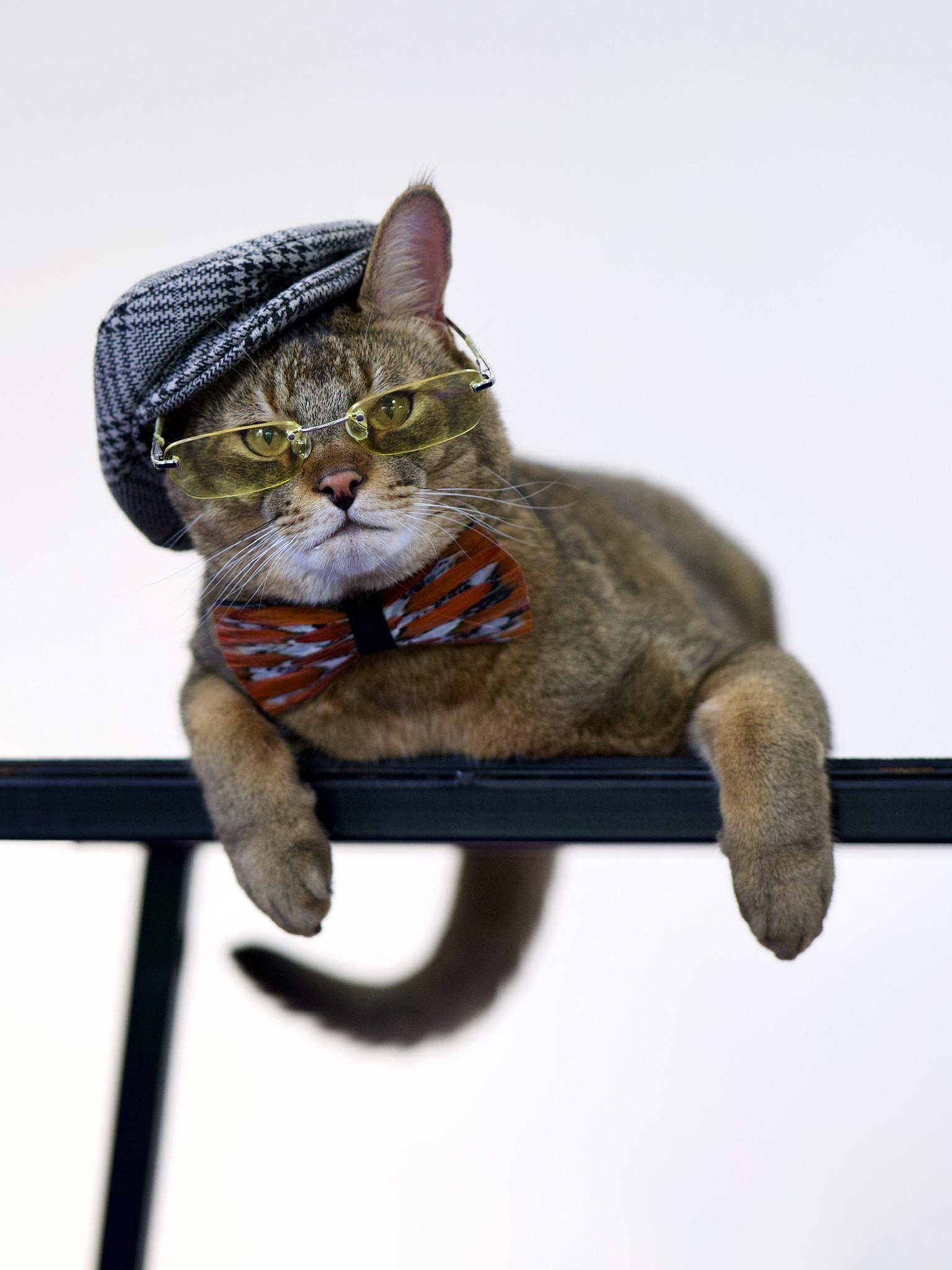 Meeting in Progress... [OC] | Scrolller