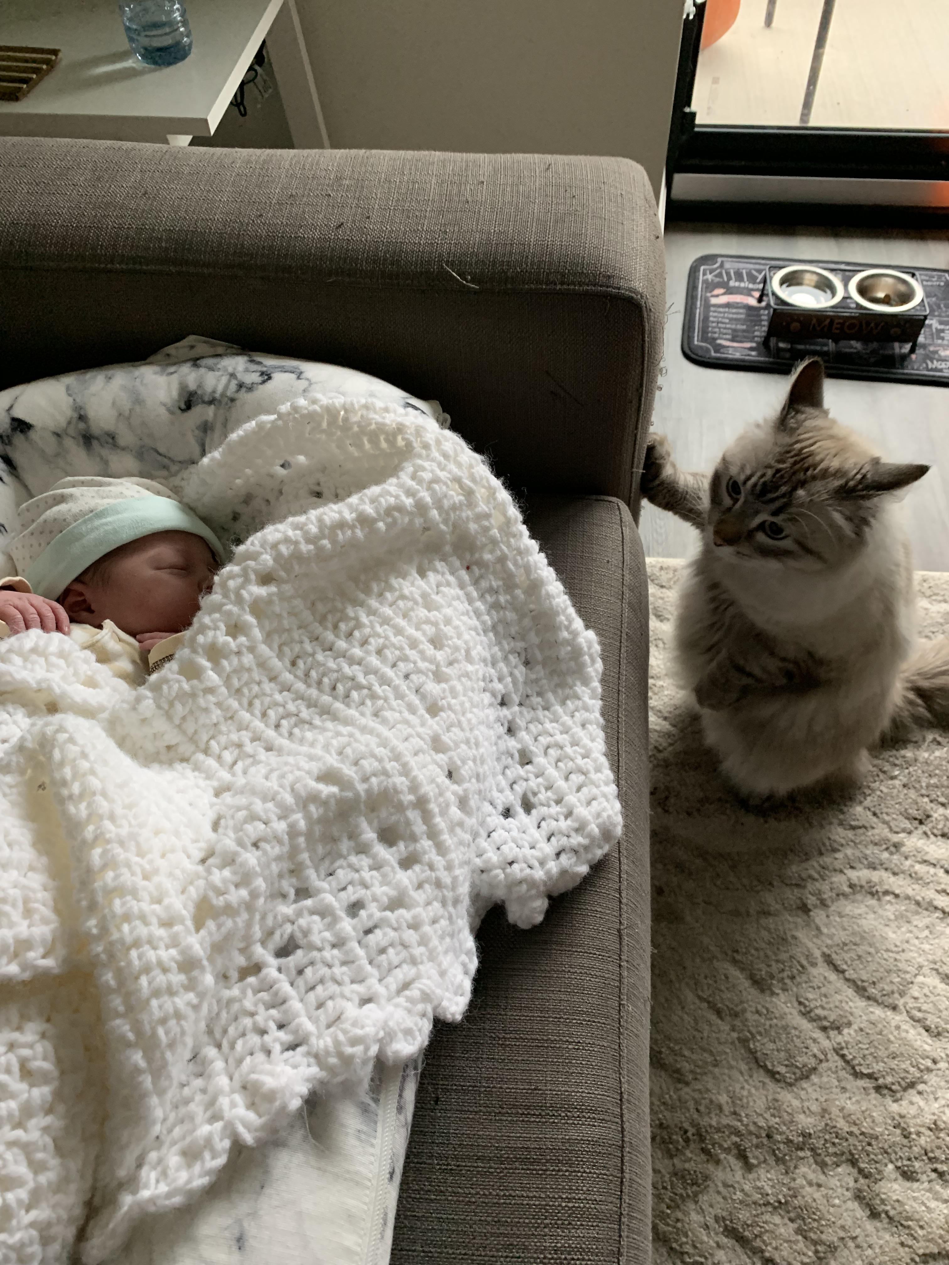 Meeting our newest family member! | Scrolller