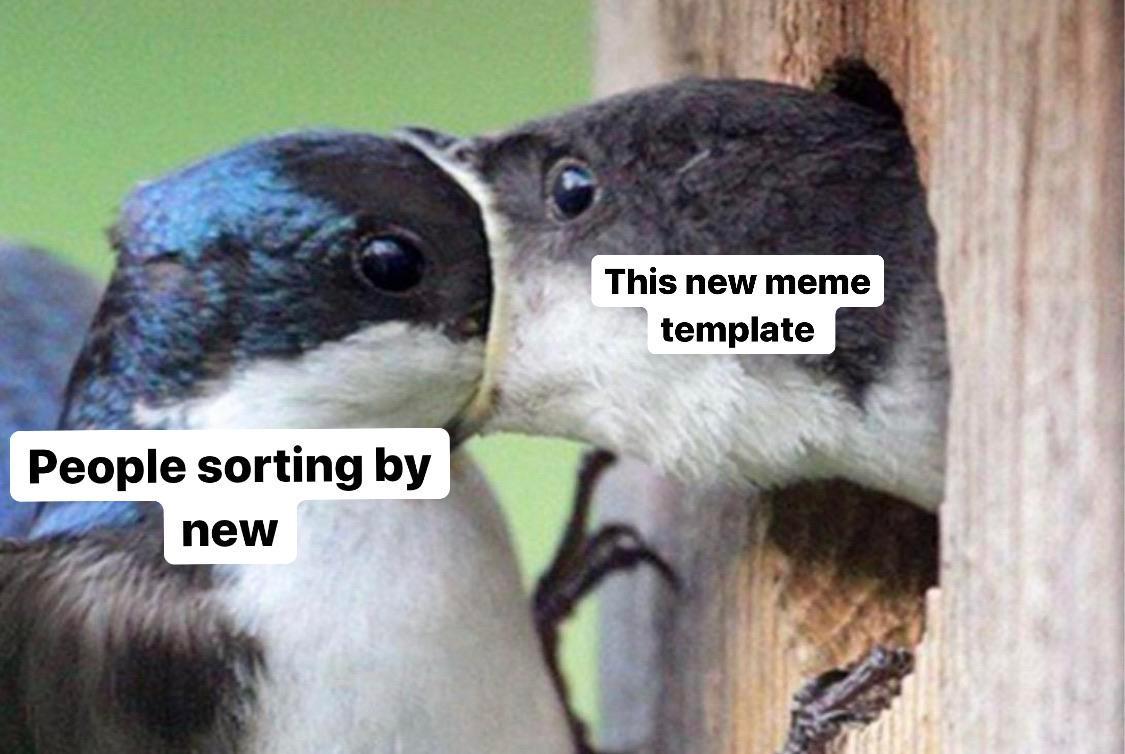 meme template | Scrolller