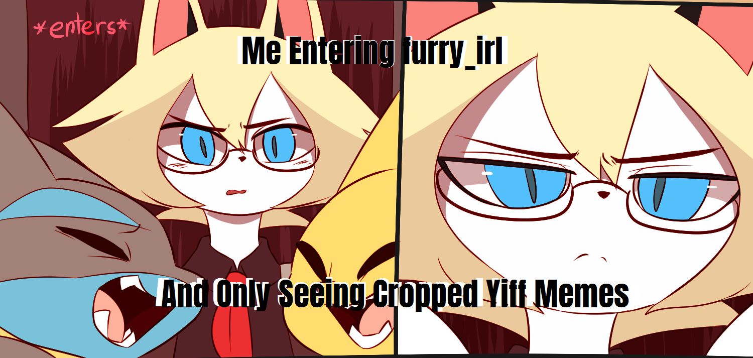 Memes_irl | Scrolller