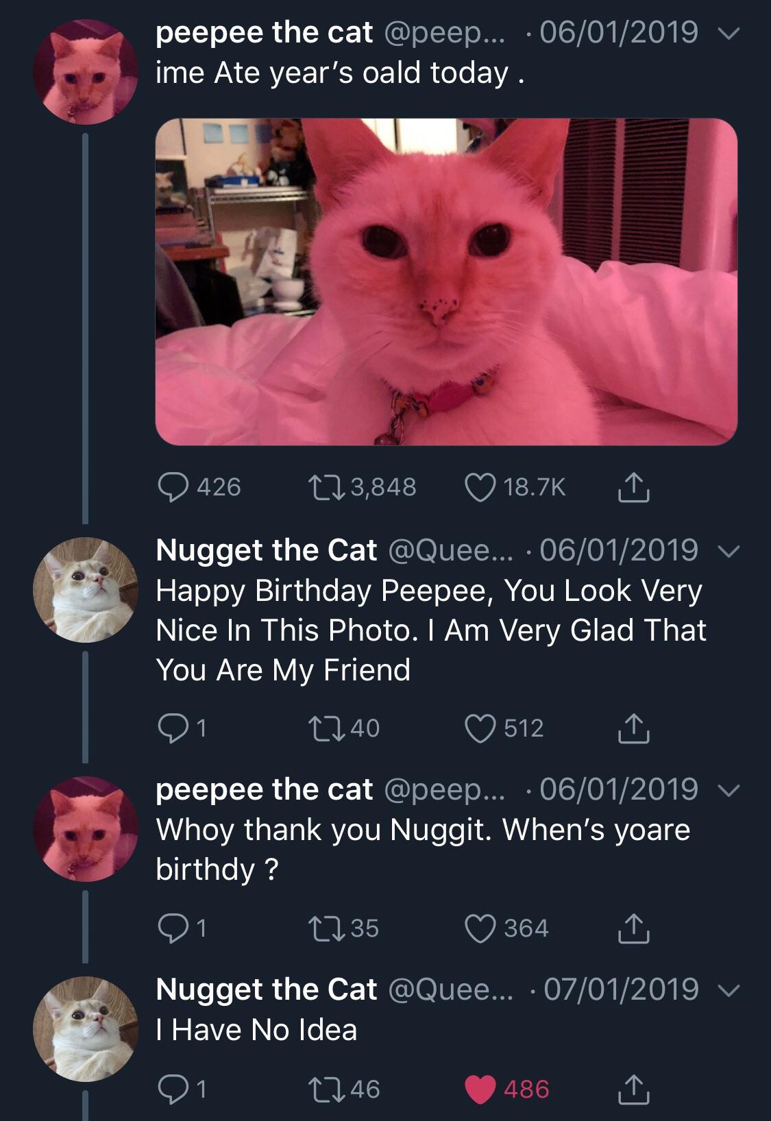 MEOW_IRL | Scrolller