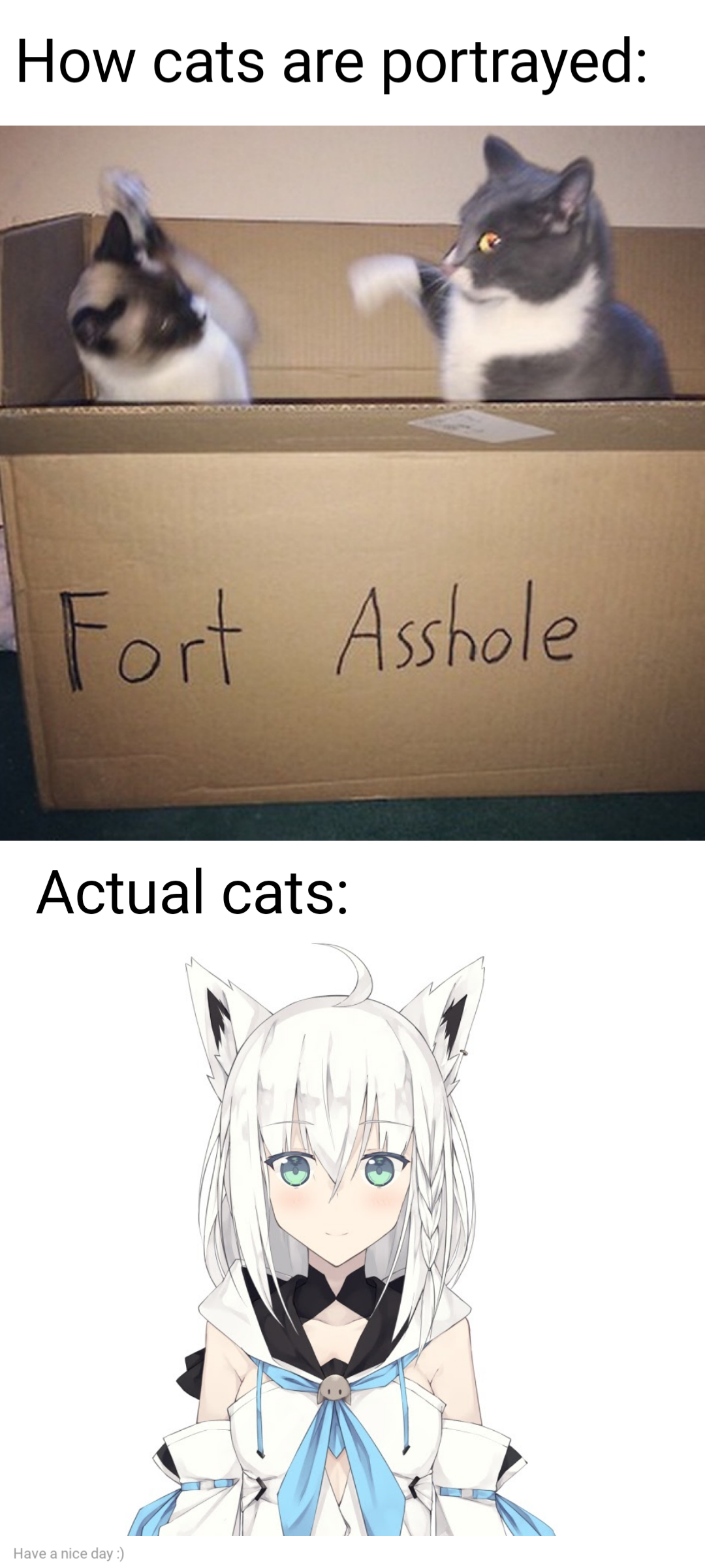 Meoway she's a fox | Scrolller