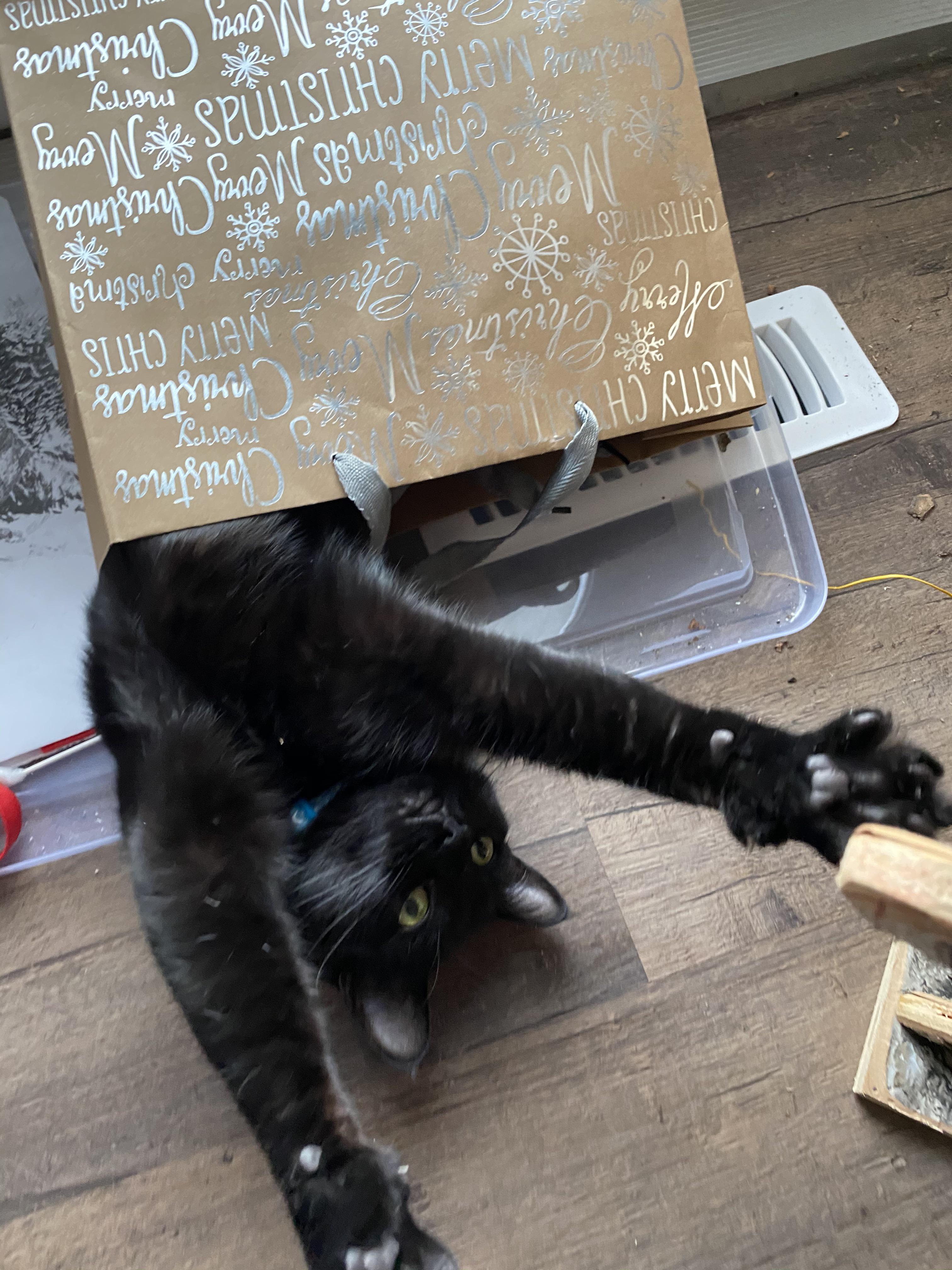 Merry Christmas hugs for all! | Scrolller