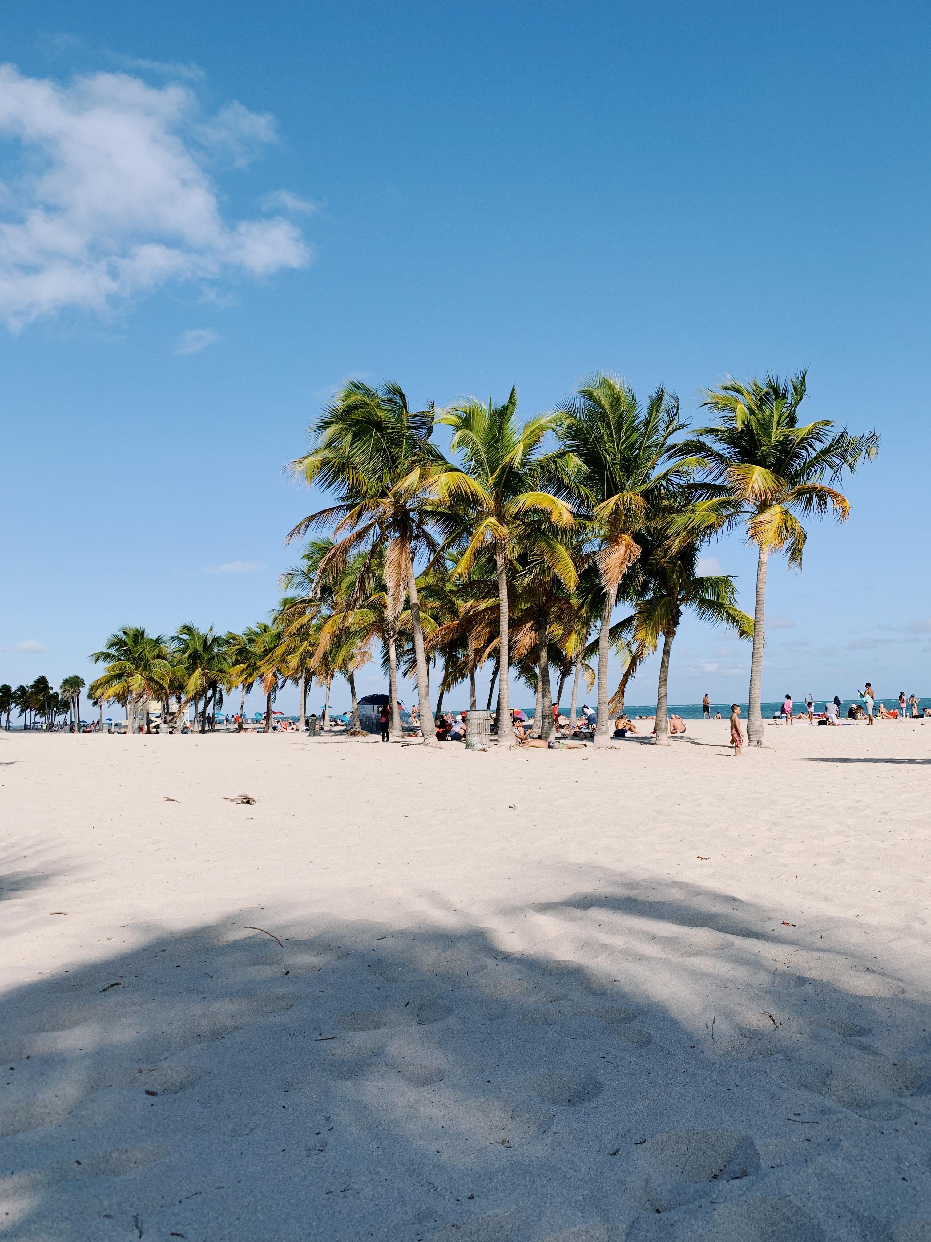 Miami, Florida | Scrolller