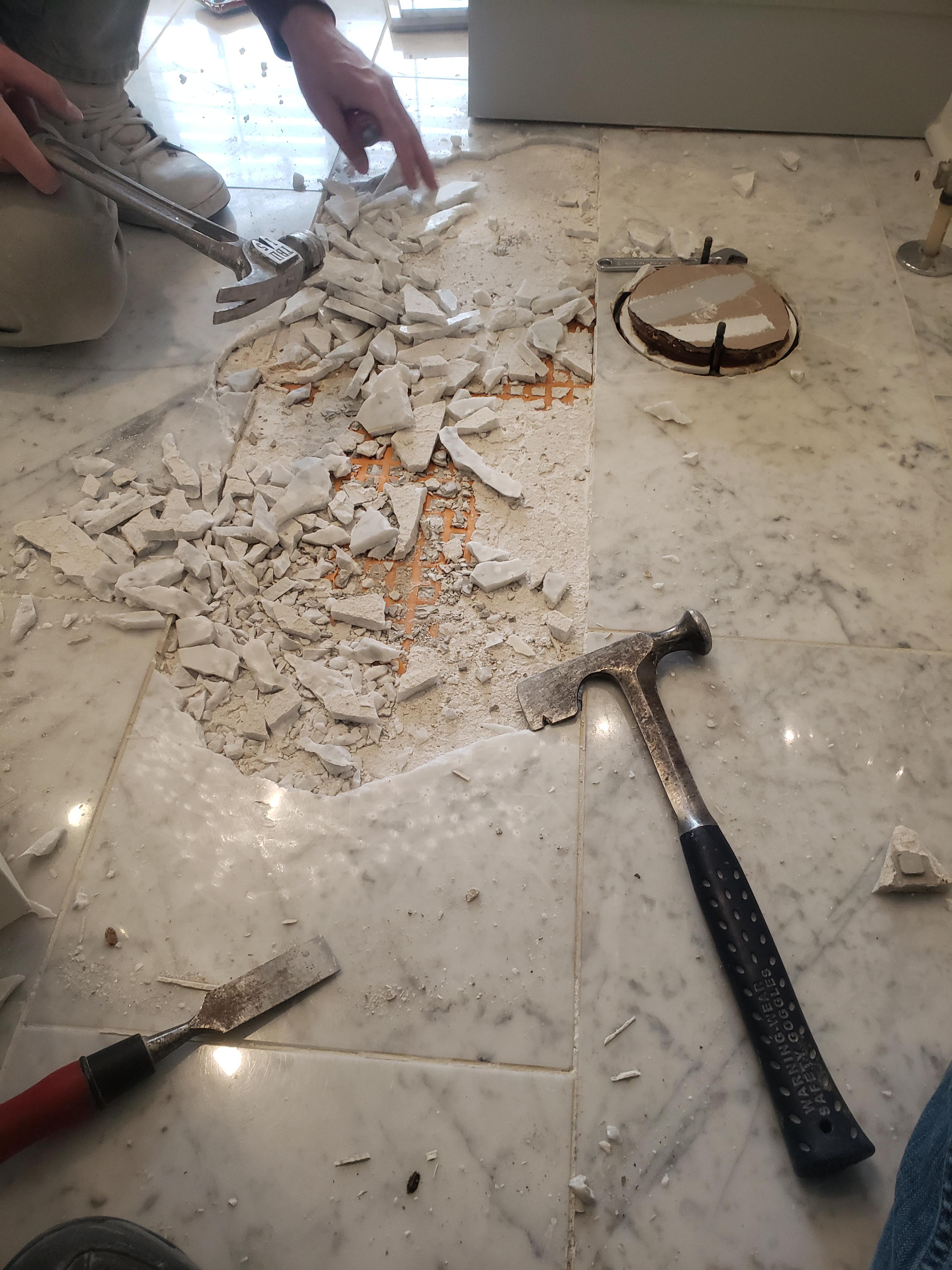 Michael Angelo David | Scrolller