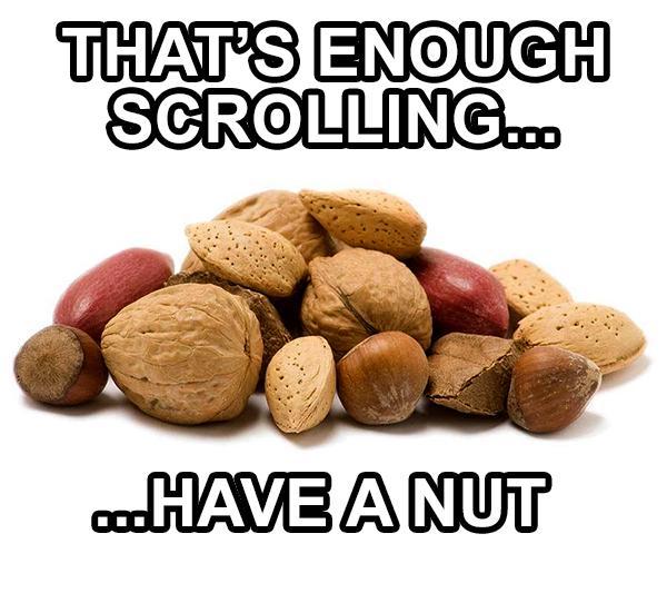 Mid-November, that's nuts! | Scrolller