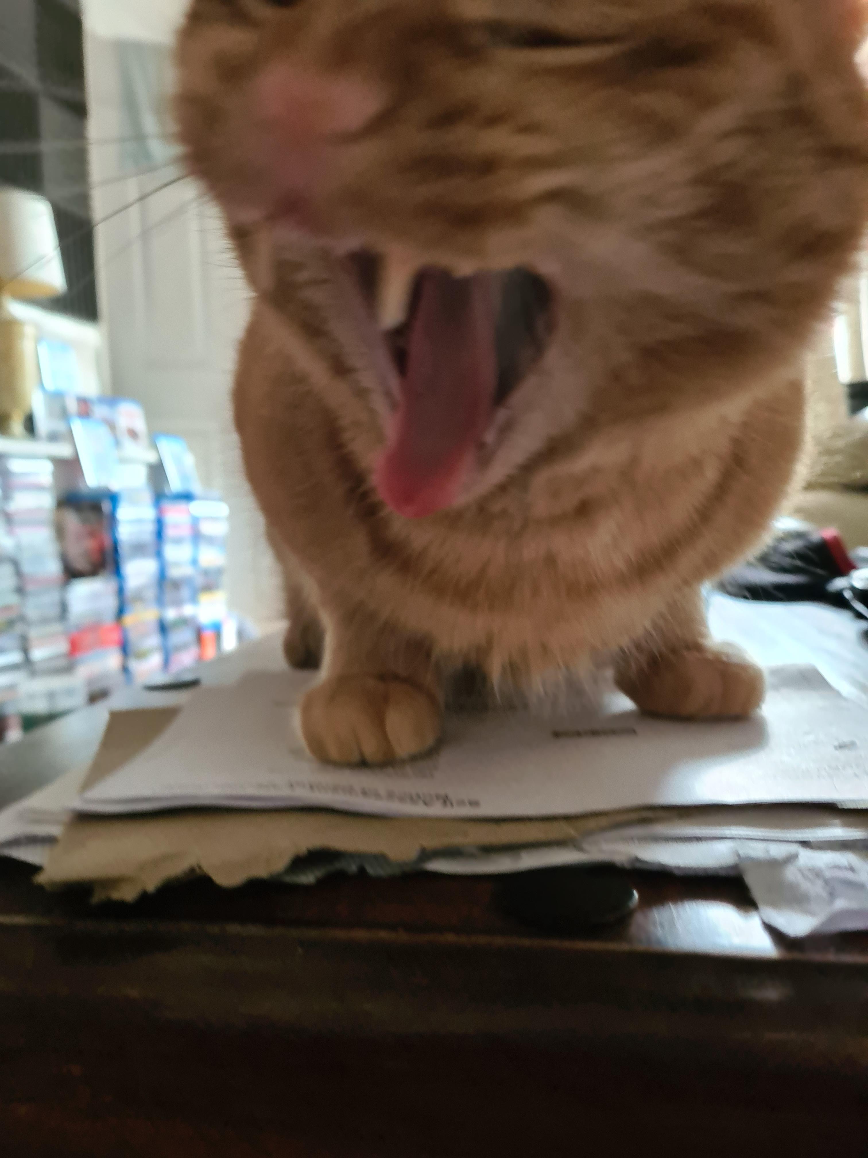 Mid scrunge | Scrolller