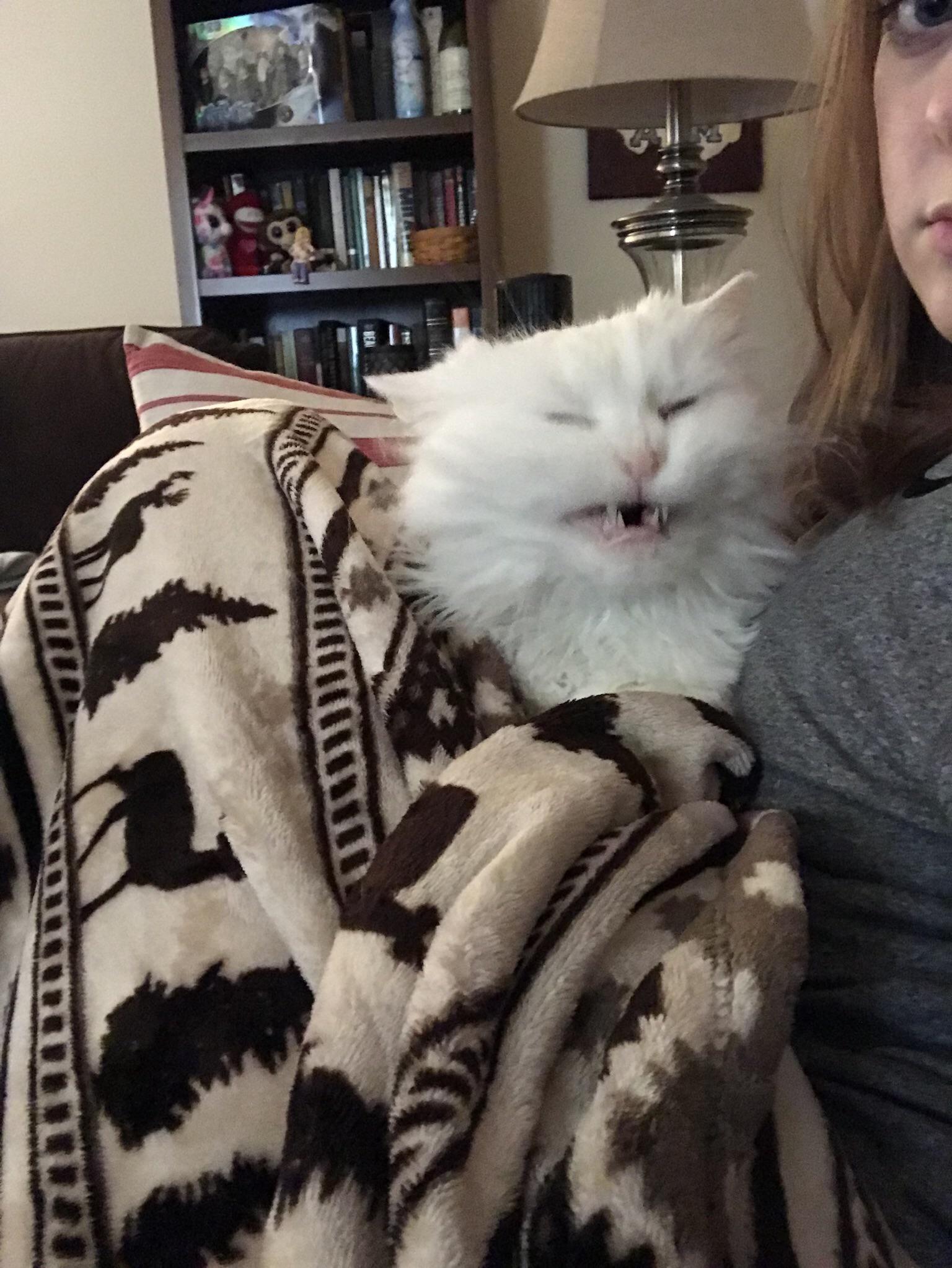 Mid-sneeze | Scrolller