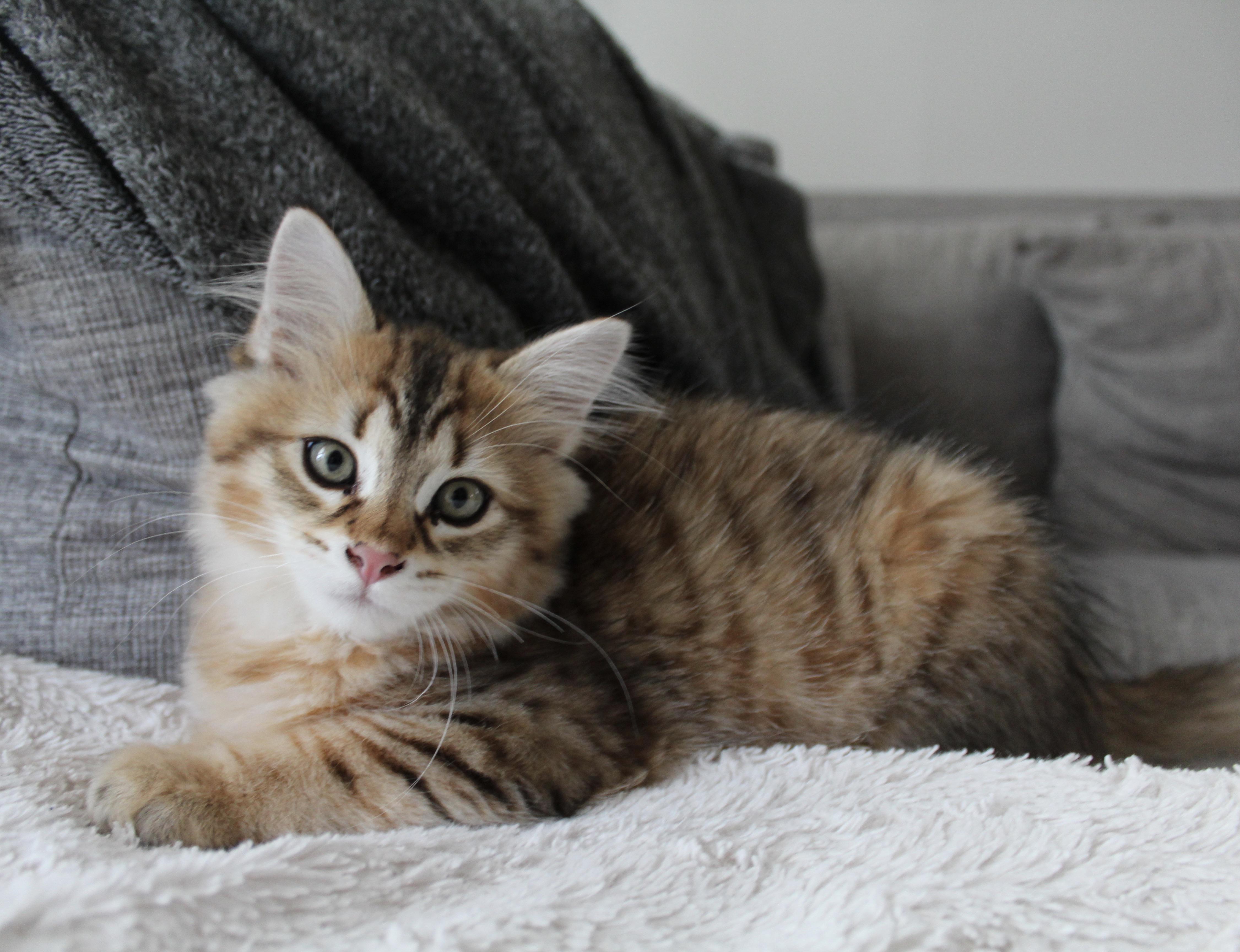 Midas is 13 weeks today! | Scrolller