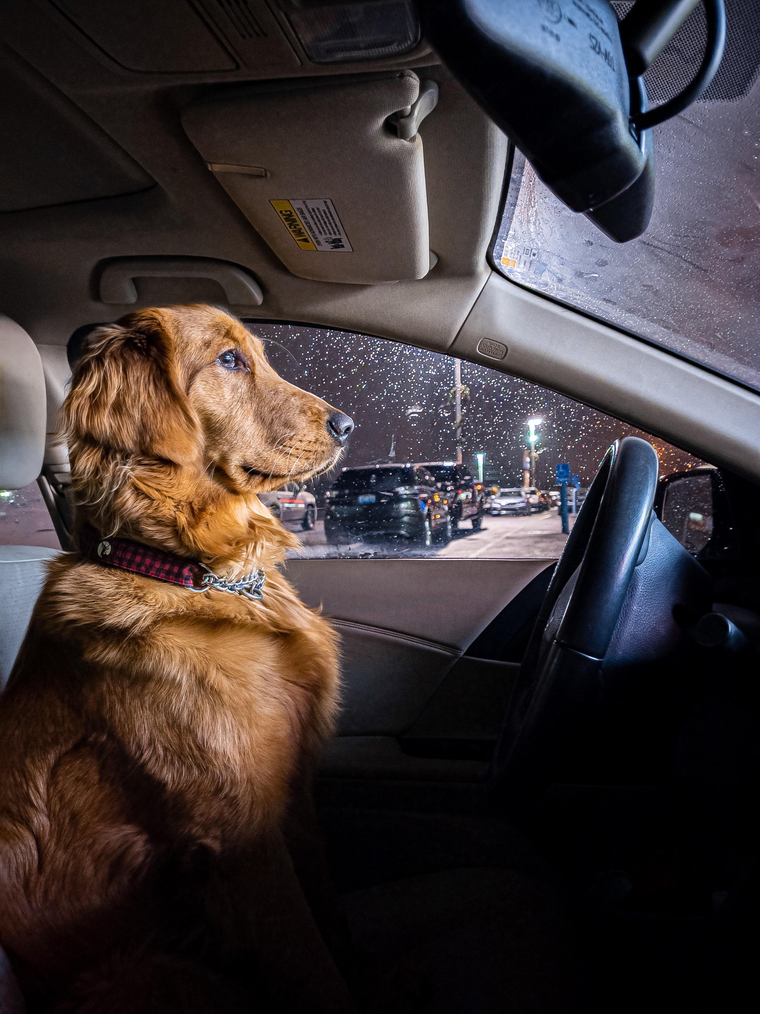 Midnight Rider | Scrolller