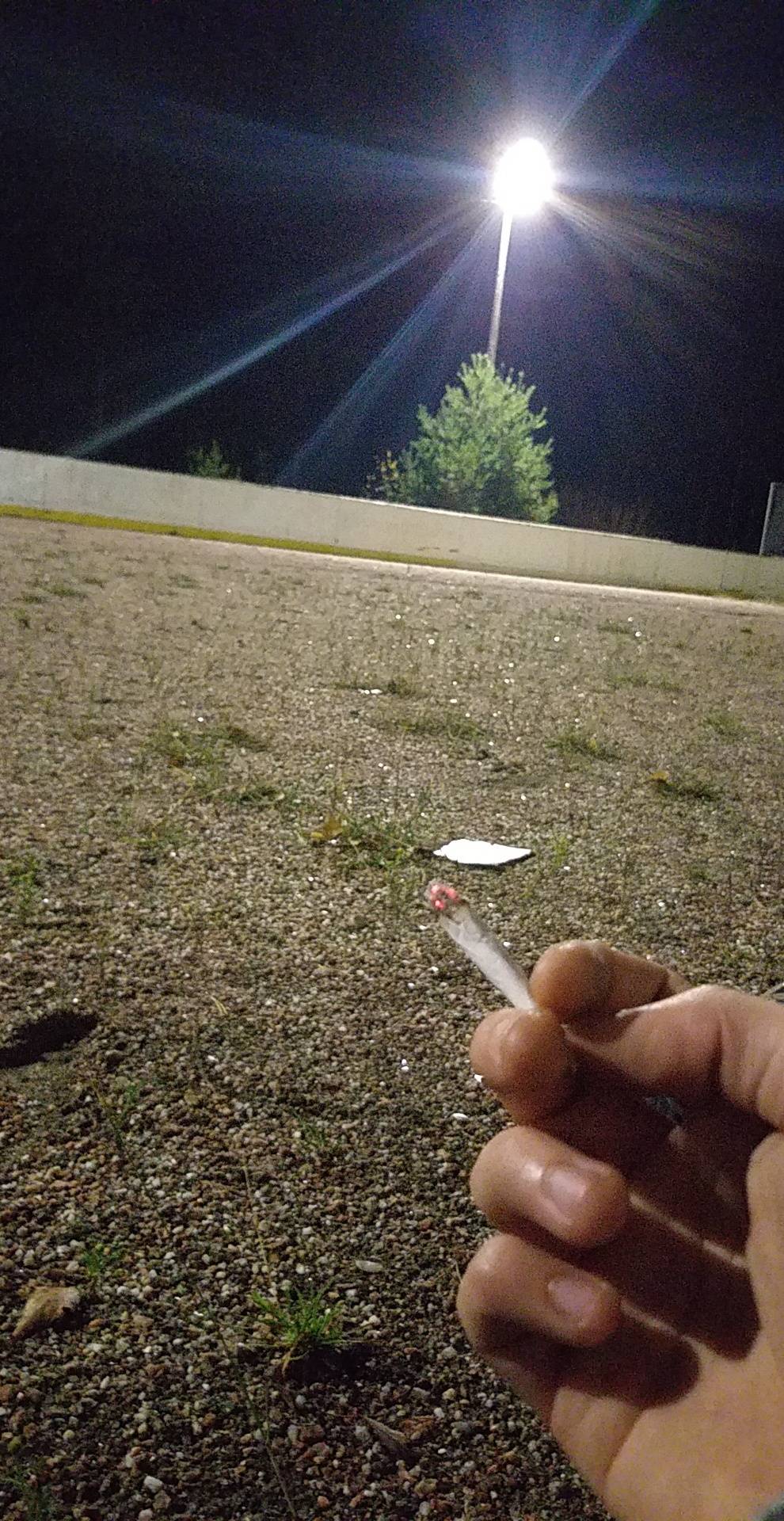 midnight snack🍁 | Scrolller