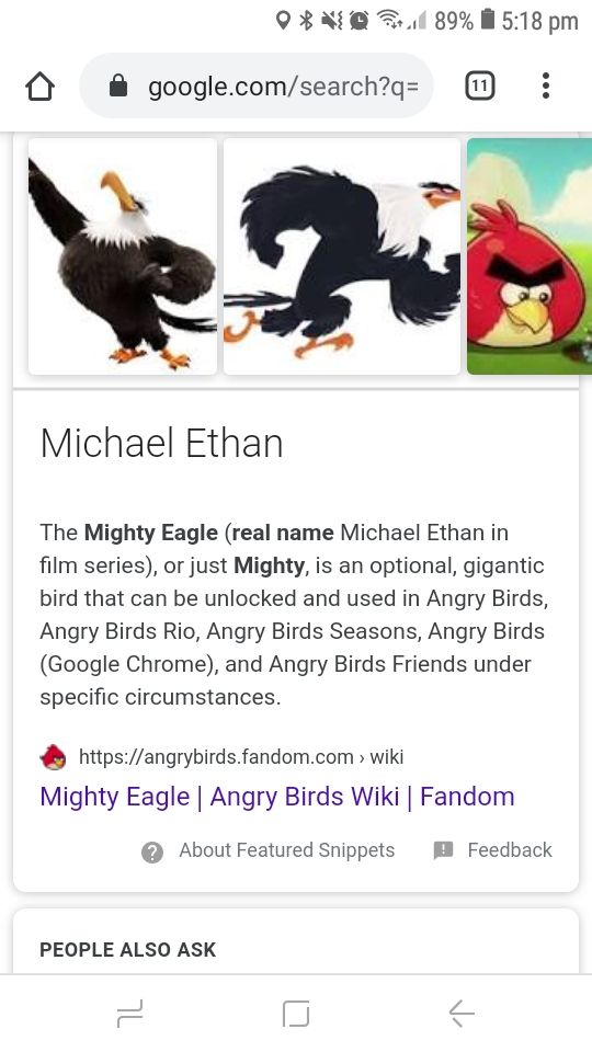 Mighty Eagle's real name | Scrolller