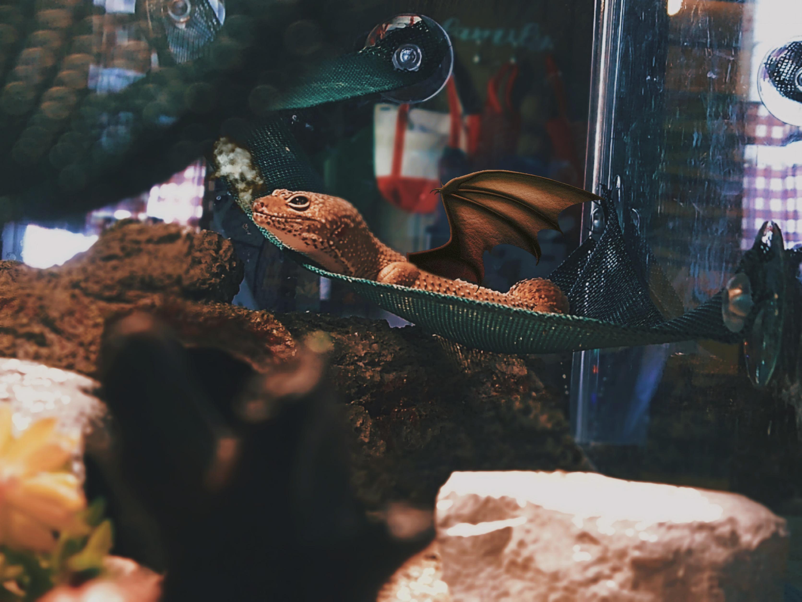 Mighty Peach is looming over her kingdom 😂 | Scrolller