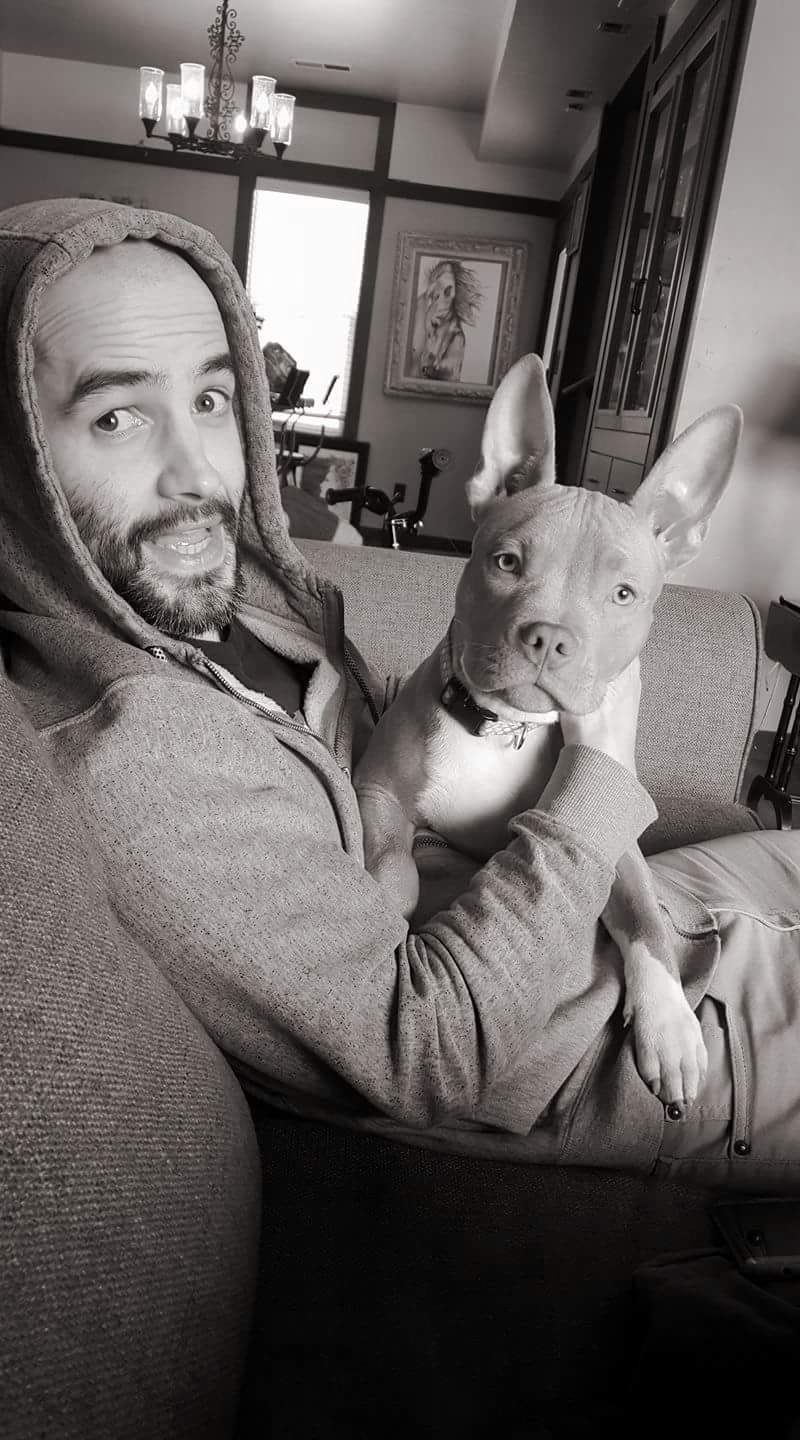 Mildred the pitbull | Scrolller