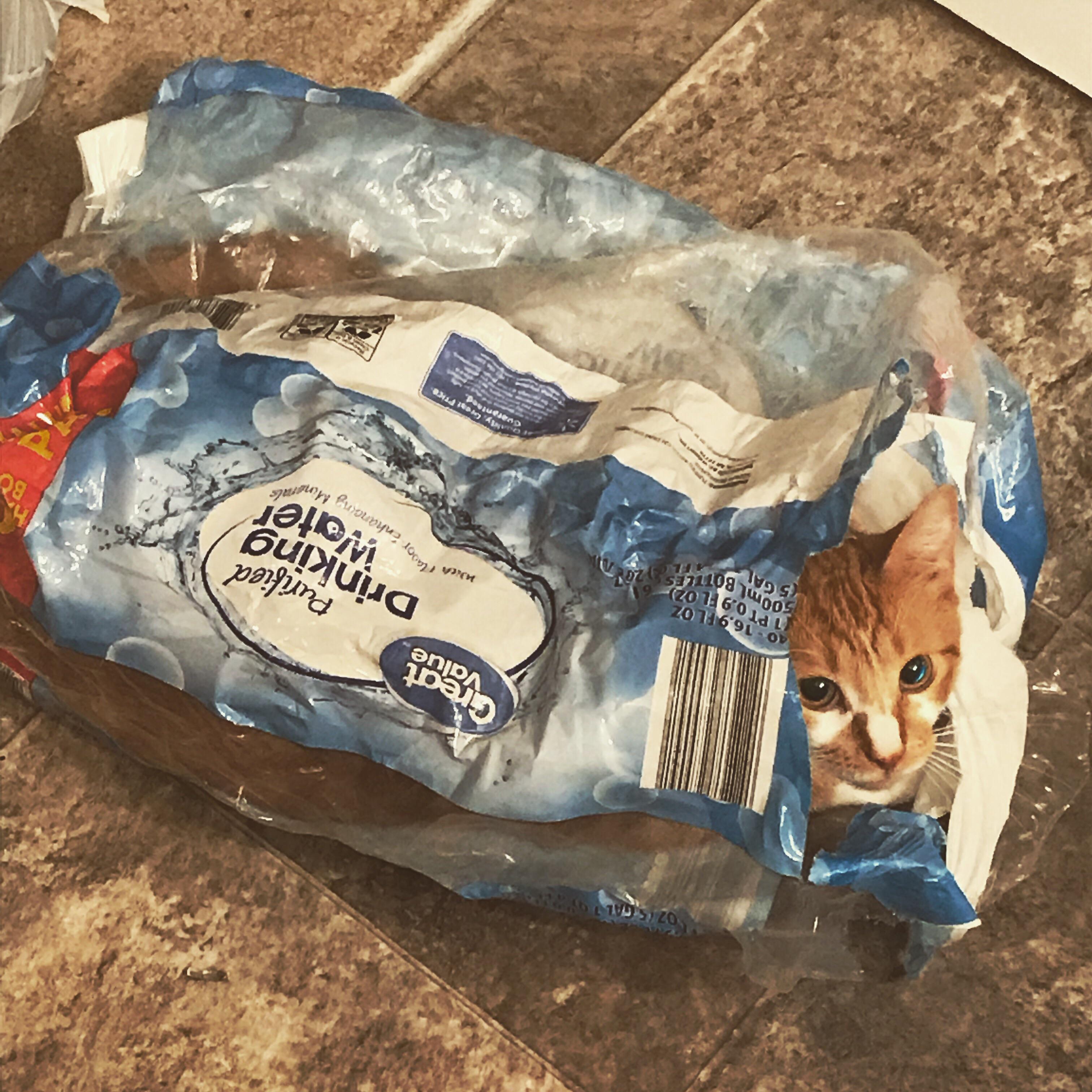 milo is a fan | Scrolller