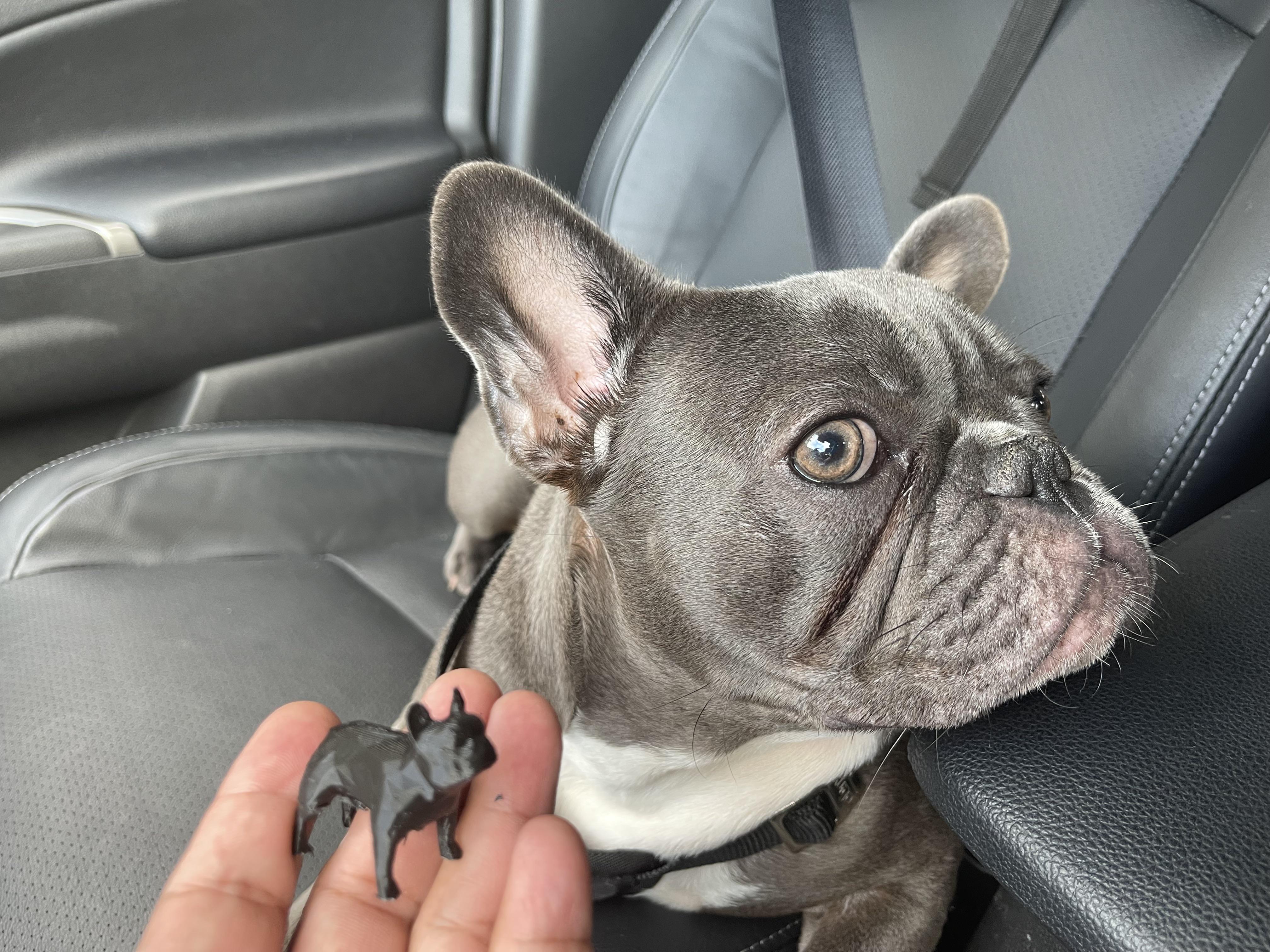 Mini Me Scrolller