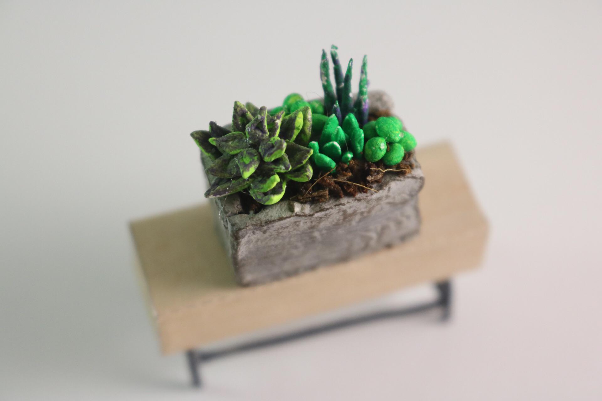 Mini Succulents (made from air dry clay) | Scrolller