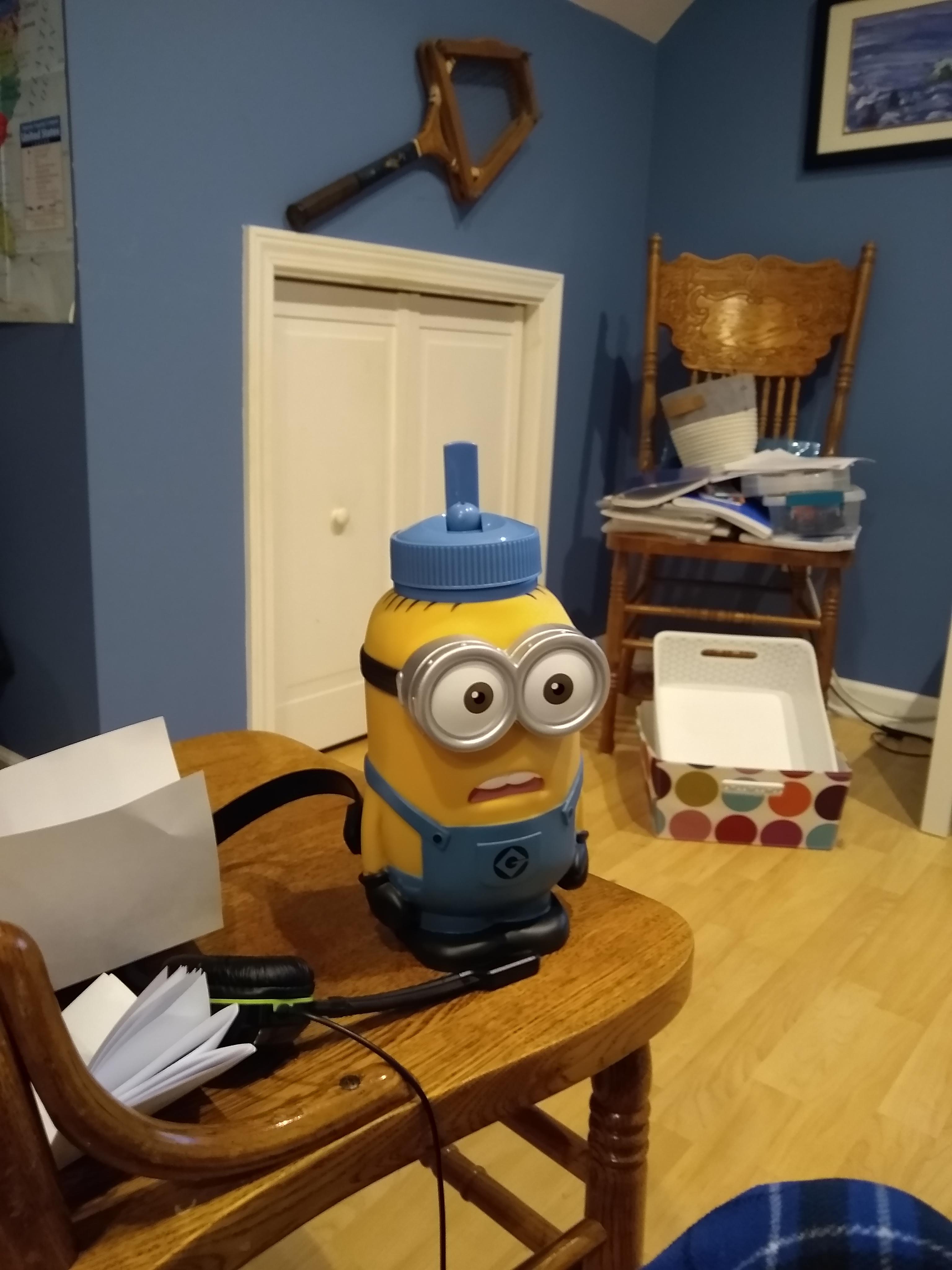 MINION WATER BOTTLE | Scrolller