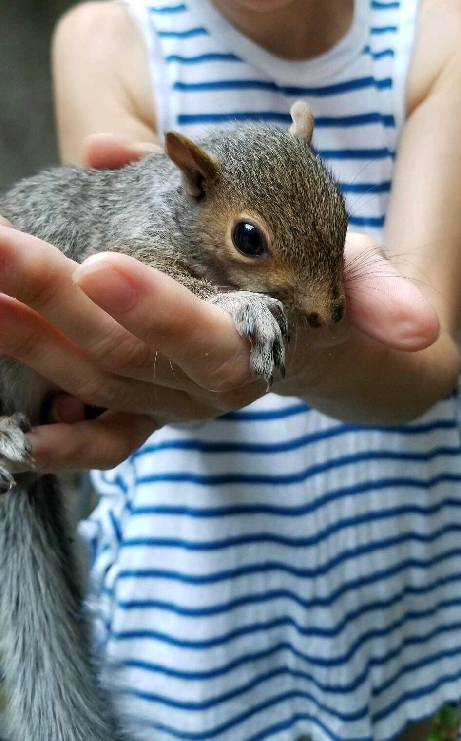 Minnie, our neighbors’ permanent rescue, had babies! | Scrolller