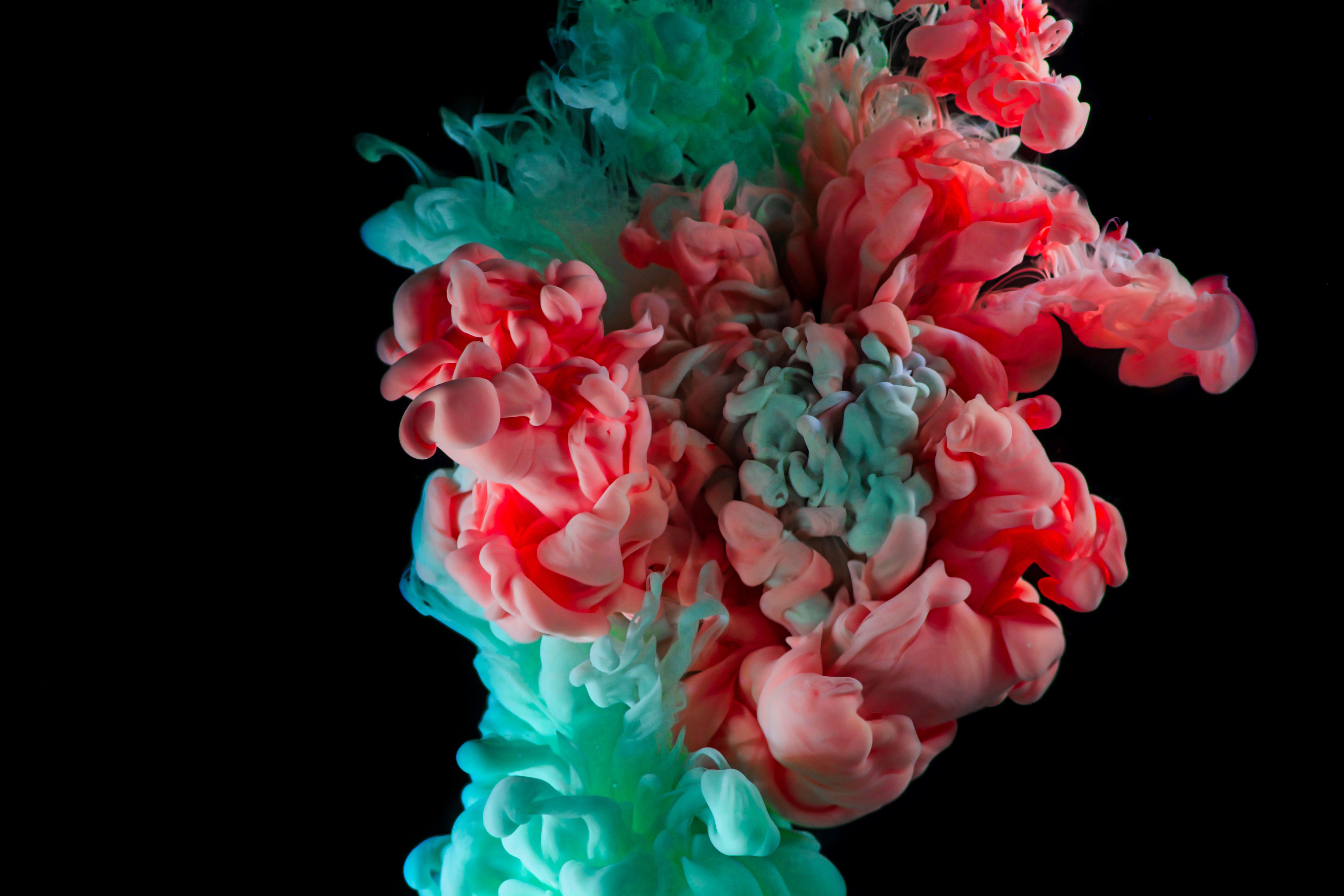 Discover more like MacroPorn: Mint and Coral Paint Cloud [OC] and ...