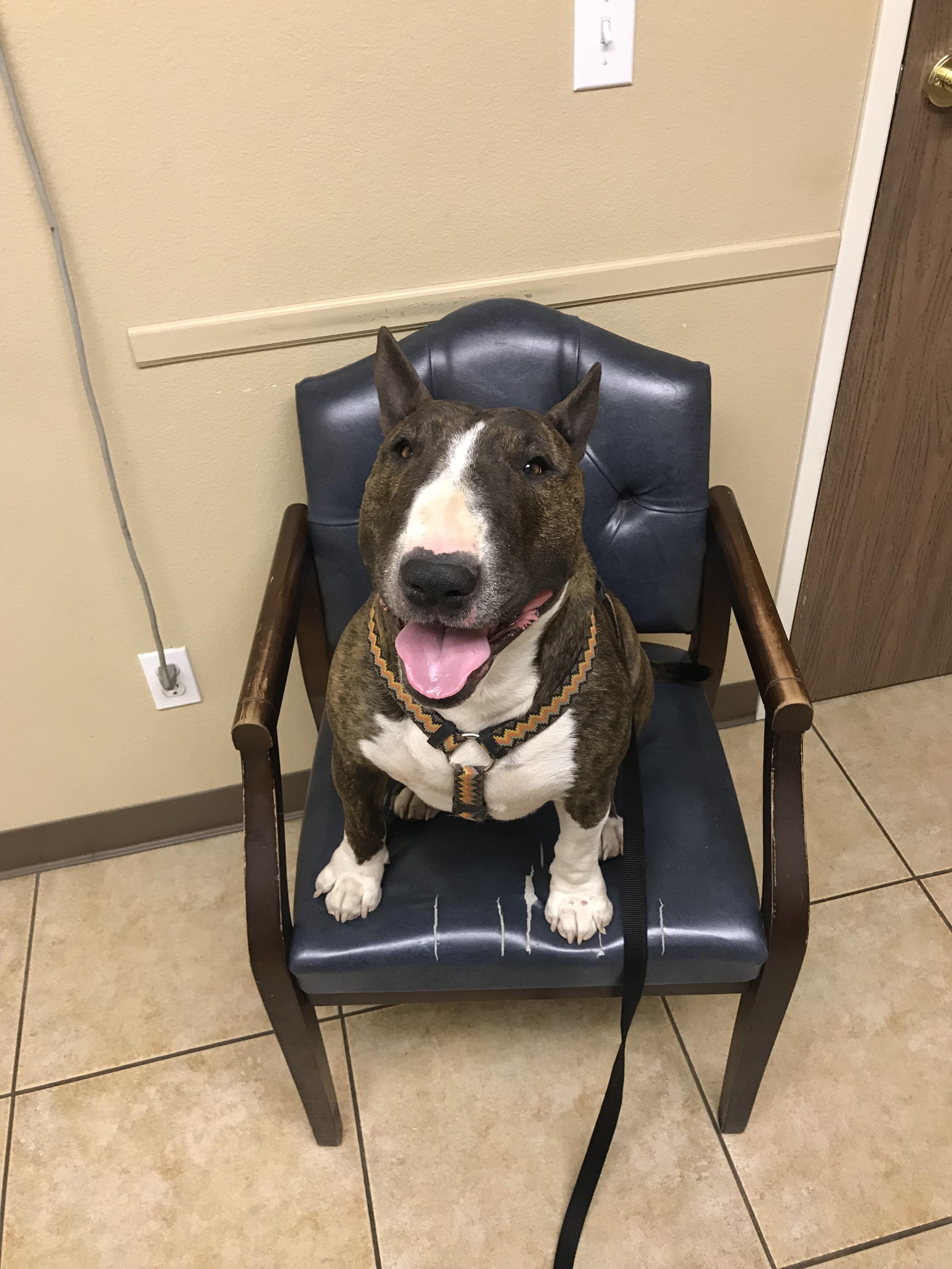 Miss our Nugget | Scrolller