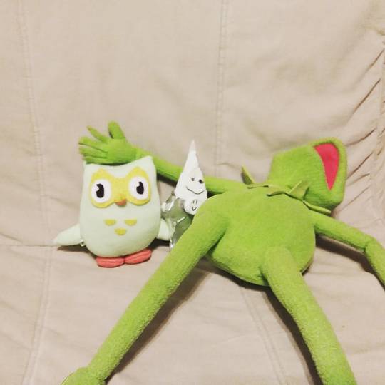 Missing someone? | Scrolller