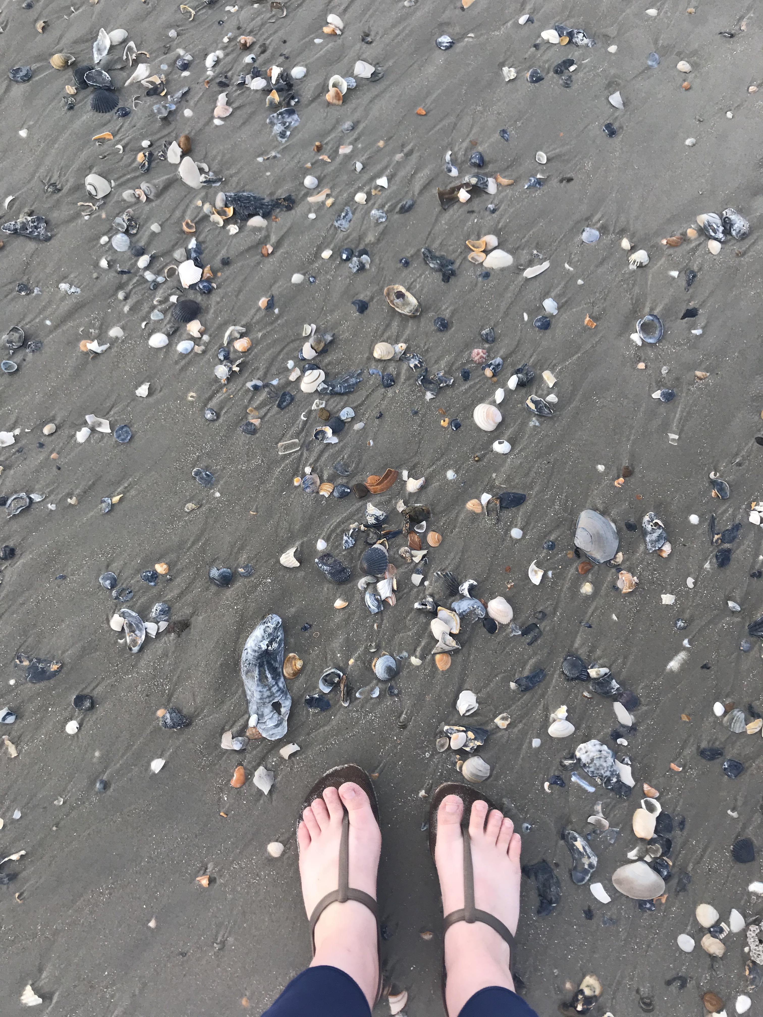 Missing the outer banks 🦀 | Scrolller