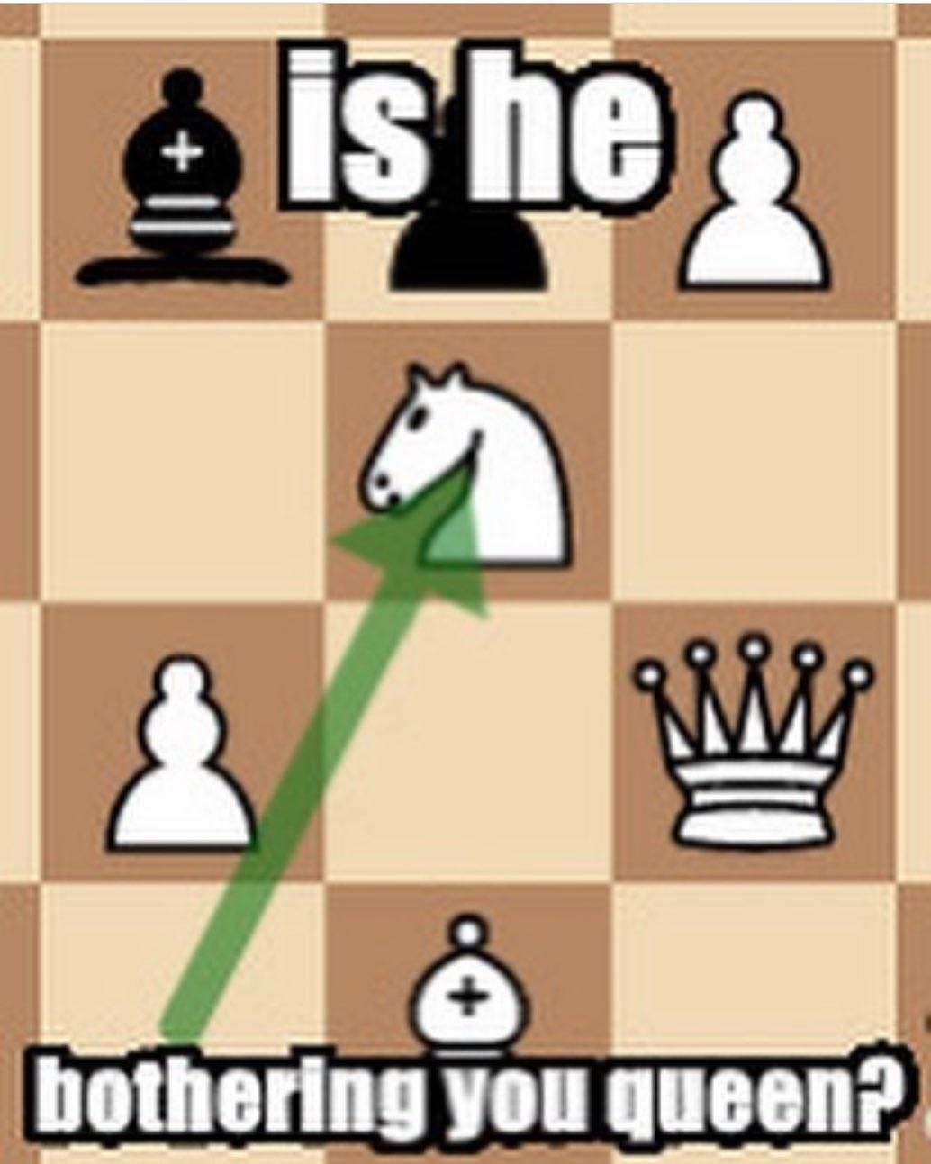 M'lady - tips fedora | Scrolller