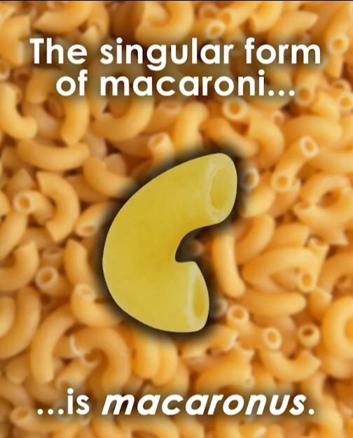 Mmm let me slurp that thick macaroni with my big mommy milkies | Scrolller