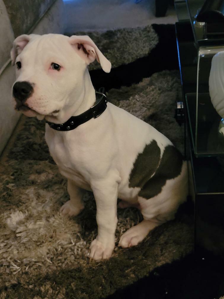 model pup | Scrolller