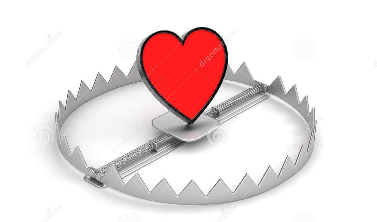 Mods asleep, post pictures of cute bear traps | Scrolller