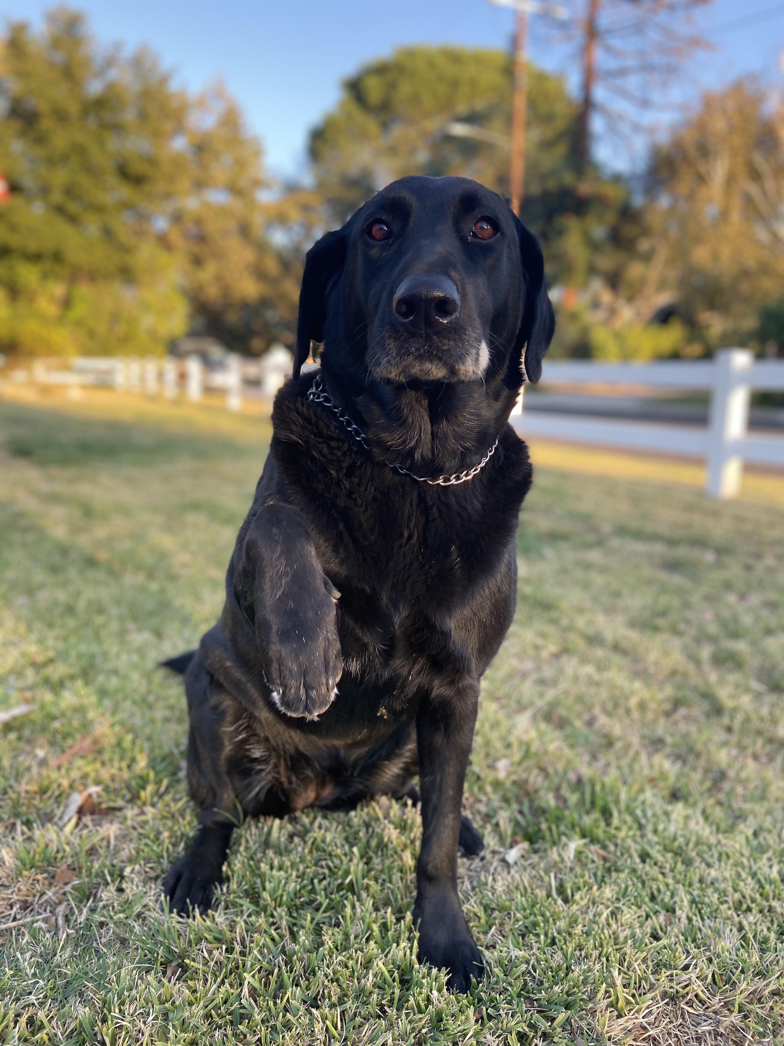 Molly wants you to hold her paw and tell her she’s precious. | Scrolller
