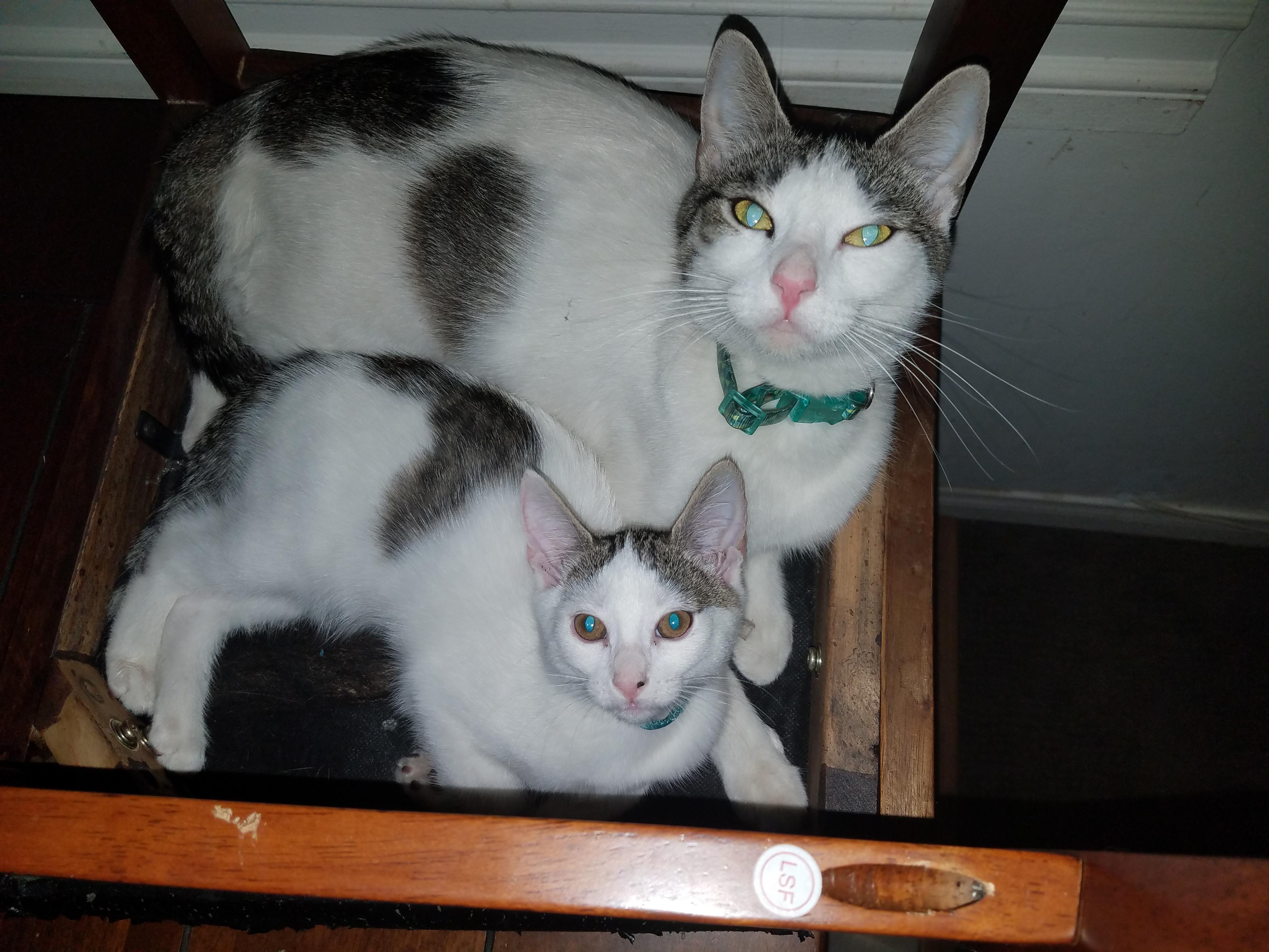 Momma and Mini | Scrolller