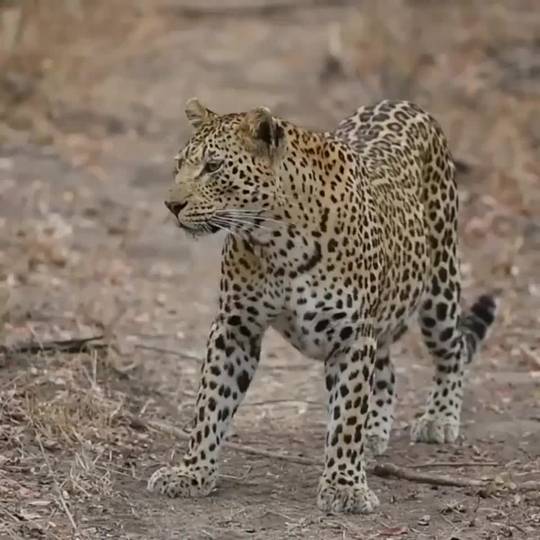 Mom's always on guard! | Scrolller