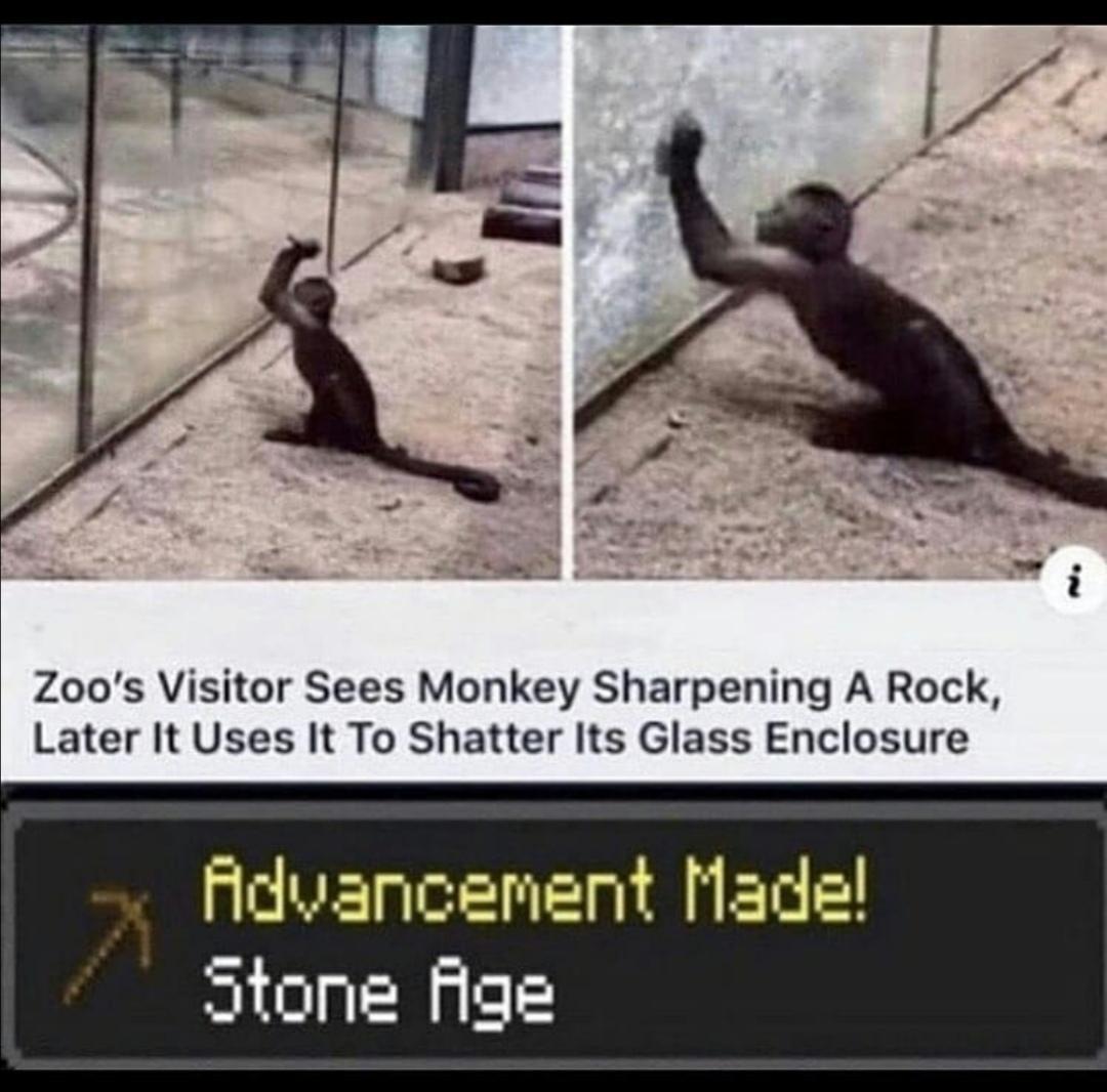 Money see, Monkey do, Monkey speedrun | Scrolller