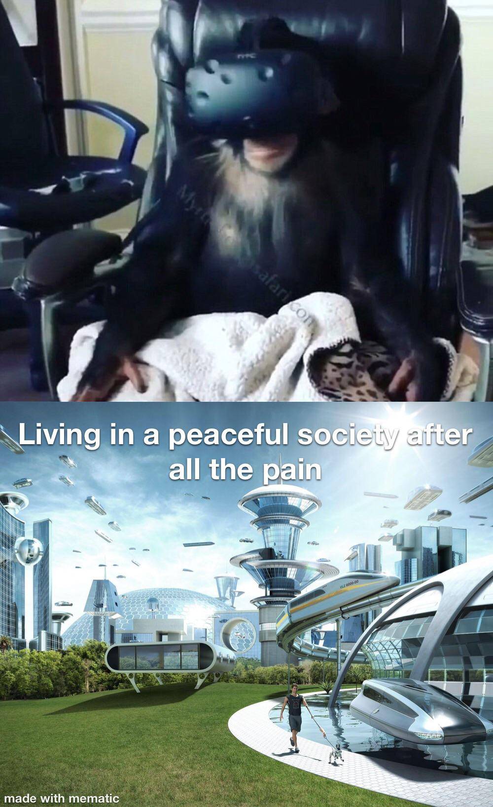 Monke is crying, are you crying too? | Scrolller