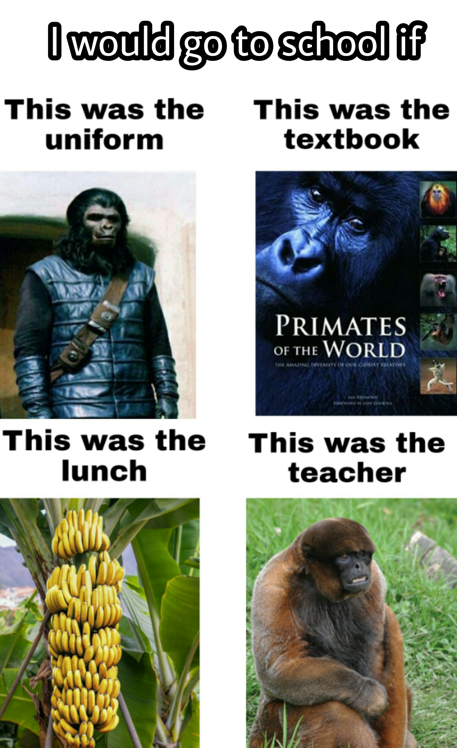 Monke OC | Scrolller