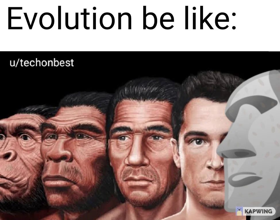 monke to human to emoji | Scrolller