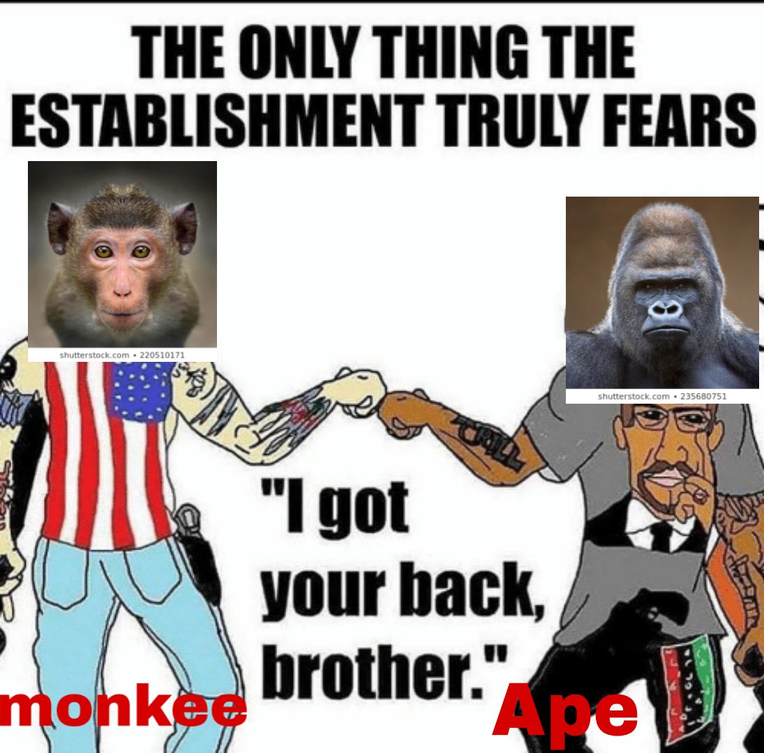 Monkee 🤝 Ape. Human 🖕 | Scrolller