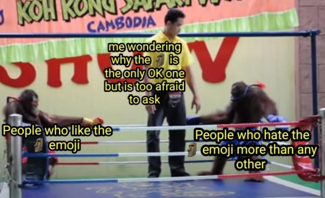 Monkey boxing | Scrolller