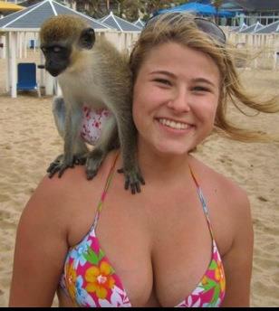 Monkey Business | Scrolller