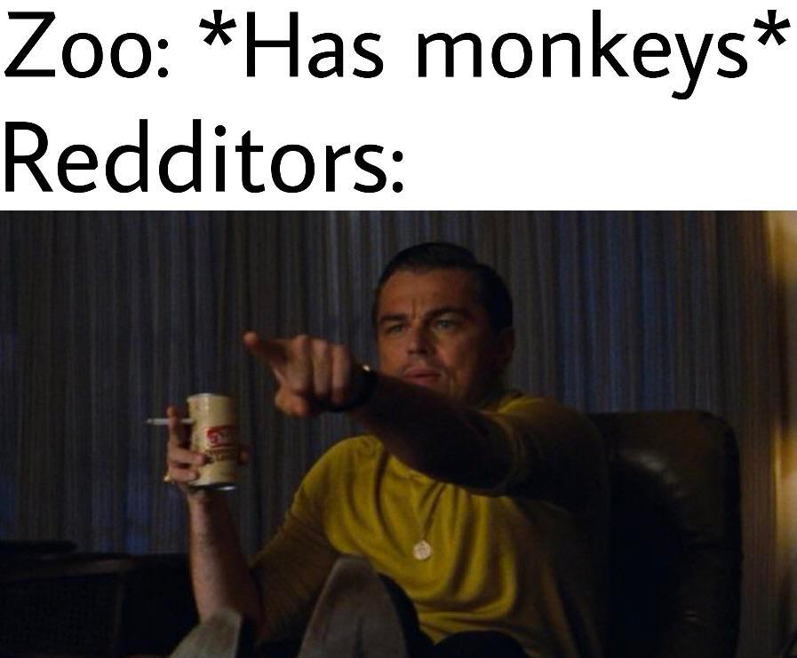 Monkey see Monkey | Scrolller