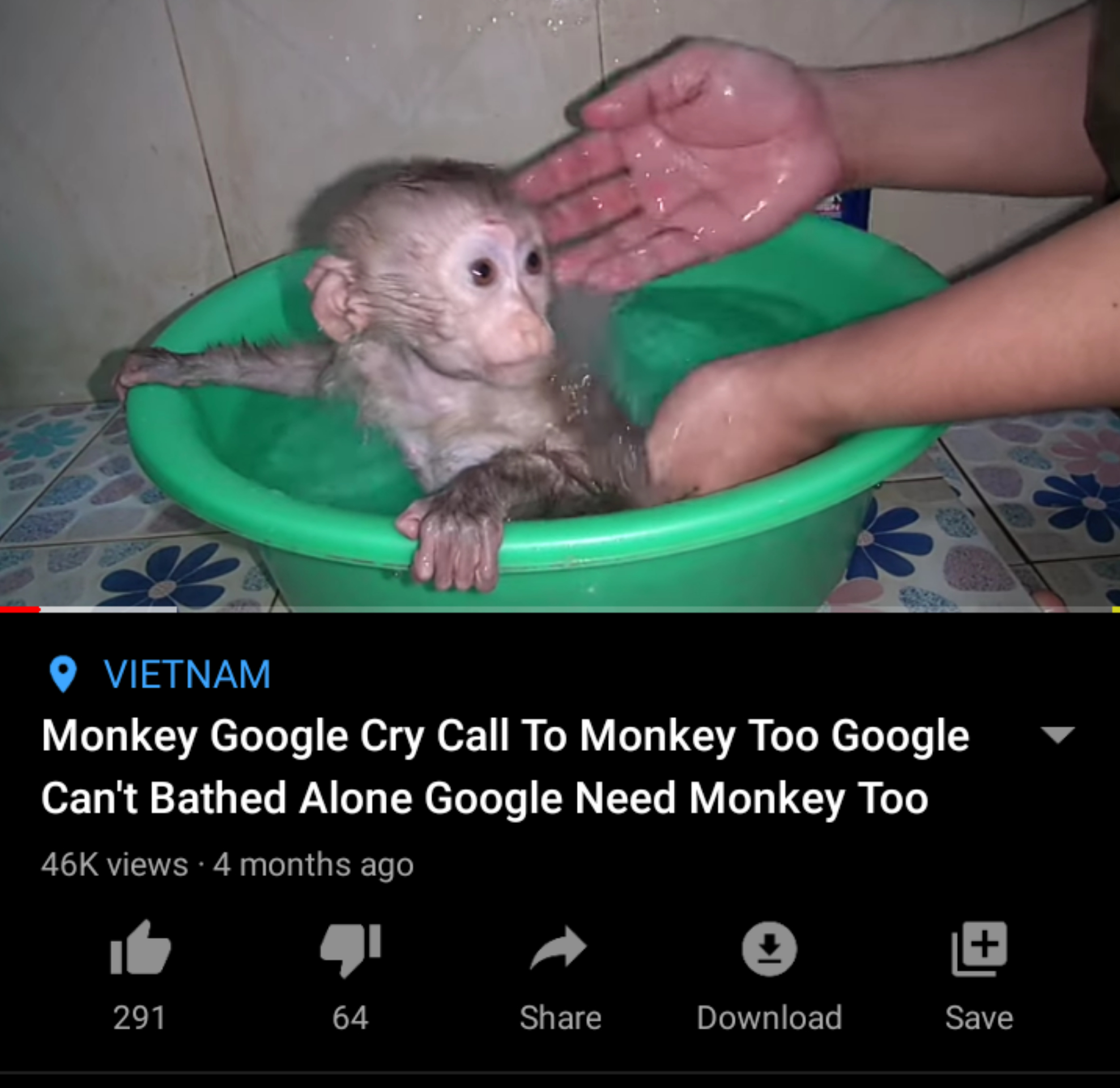 Monkey...what? | Scrolller