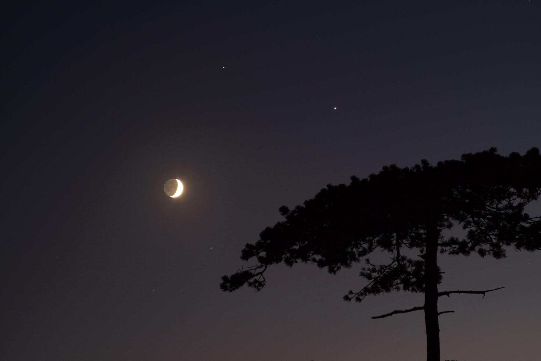 Moon in midnight | Scrolller